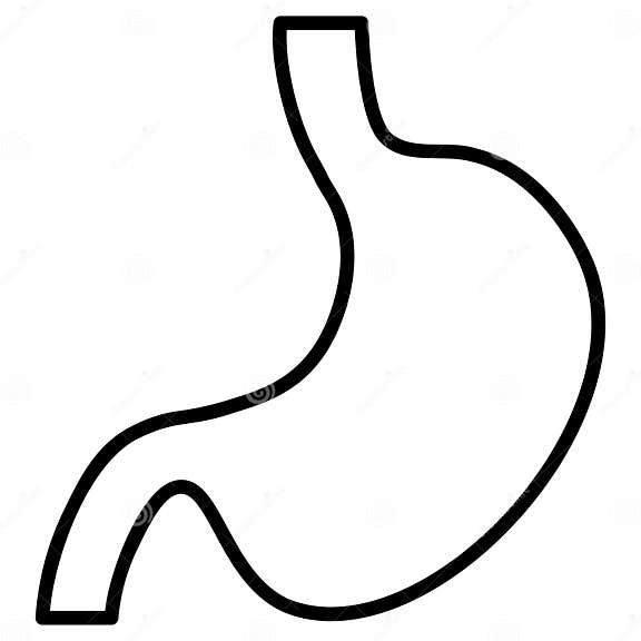 Stomach Outline Icon Vector. Simple Stomach Illustration Stock Vector ...