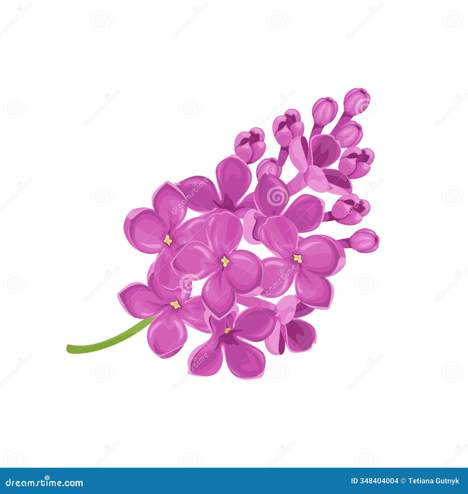 Lilac Branch Isolated on White Background. Vector Cartoon Illustration ...
