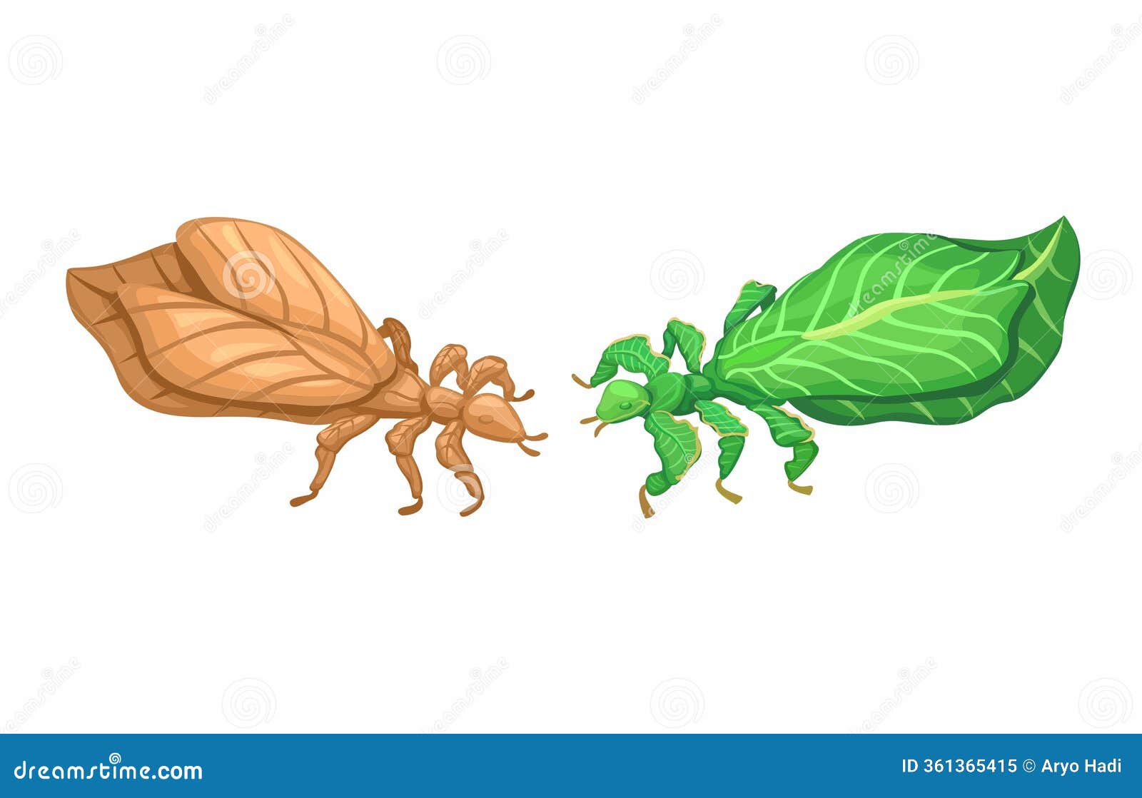 Leaf Insect Phasmid Animal Species Set Cartoon Illustration Vector ...