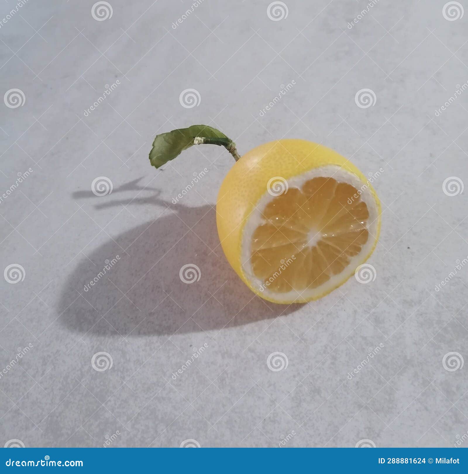 Art Lemon Cooking Montenegro Buljarica Stock Photo - Image of lemon ...