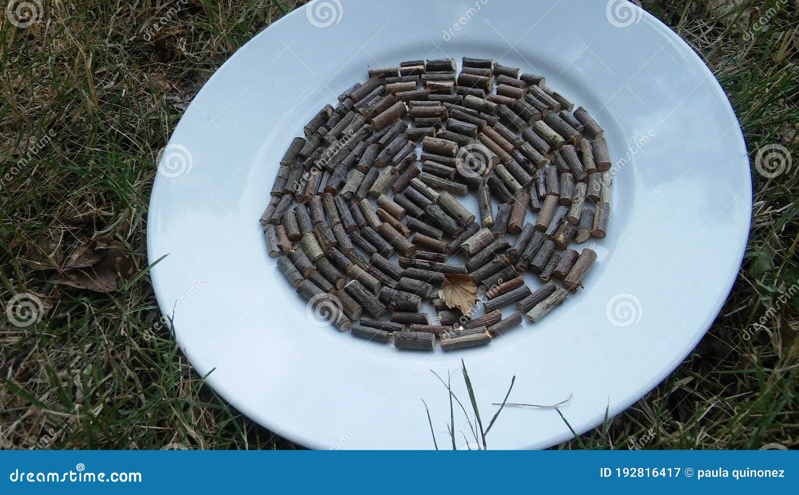 Art with Little Sticks and a White Plate Stock Image - Image of wheel ...