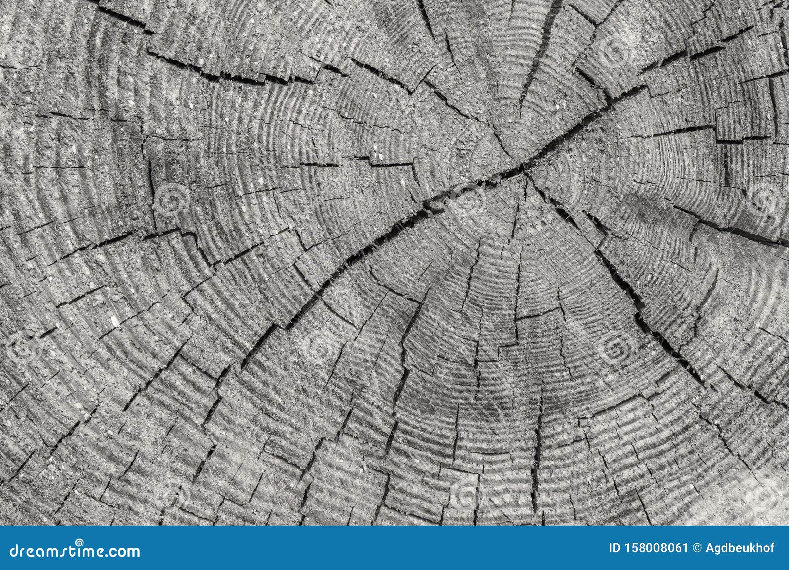 Art of Nature: Natural Structures / Texture Stock Image - Image of ...