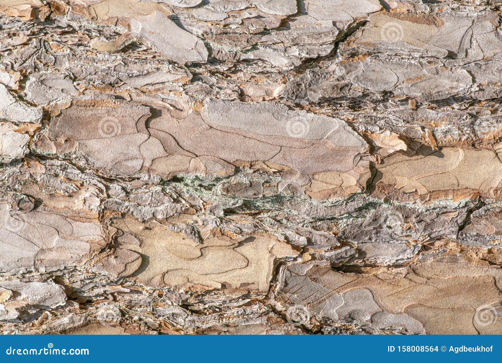 Art of Nature: Natural Structures / Texture Stock Photo - Image of ...