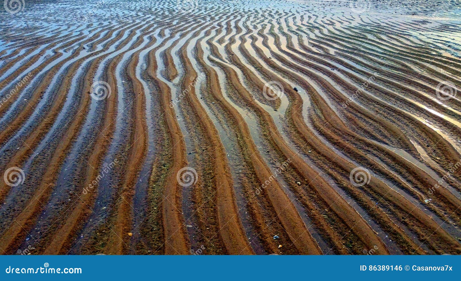 Art of nature stock illustration. Illustration of sand - 86389146