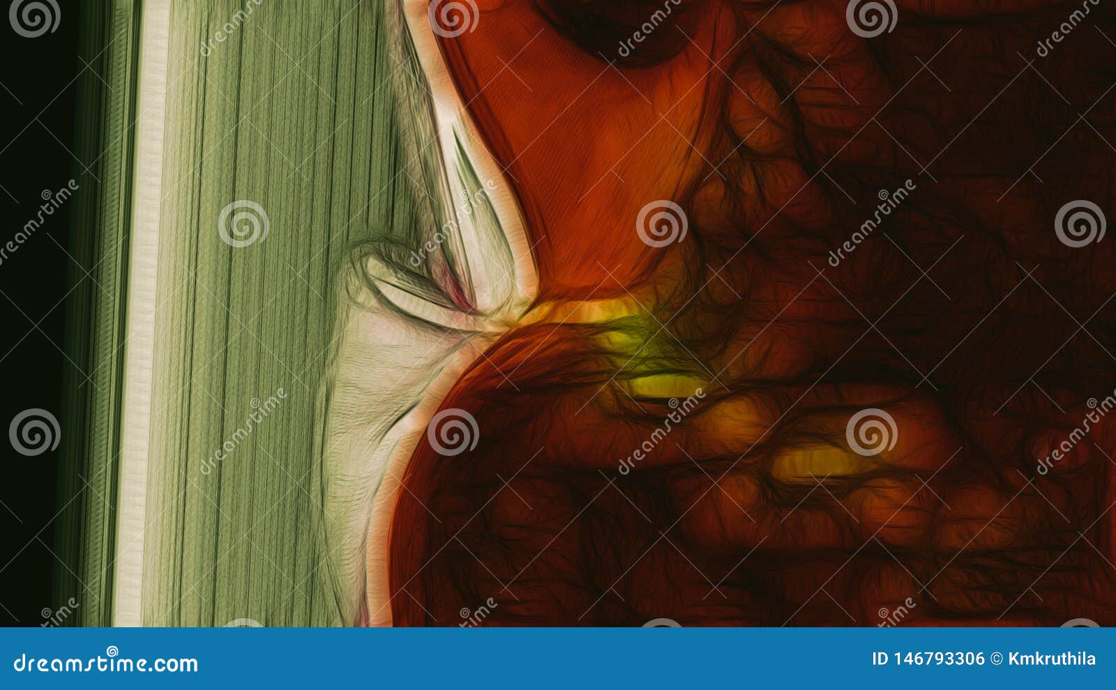 Art Neck Painting Background Beautiful Elegant Illustration Graphic Art ...