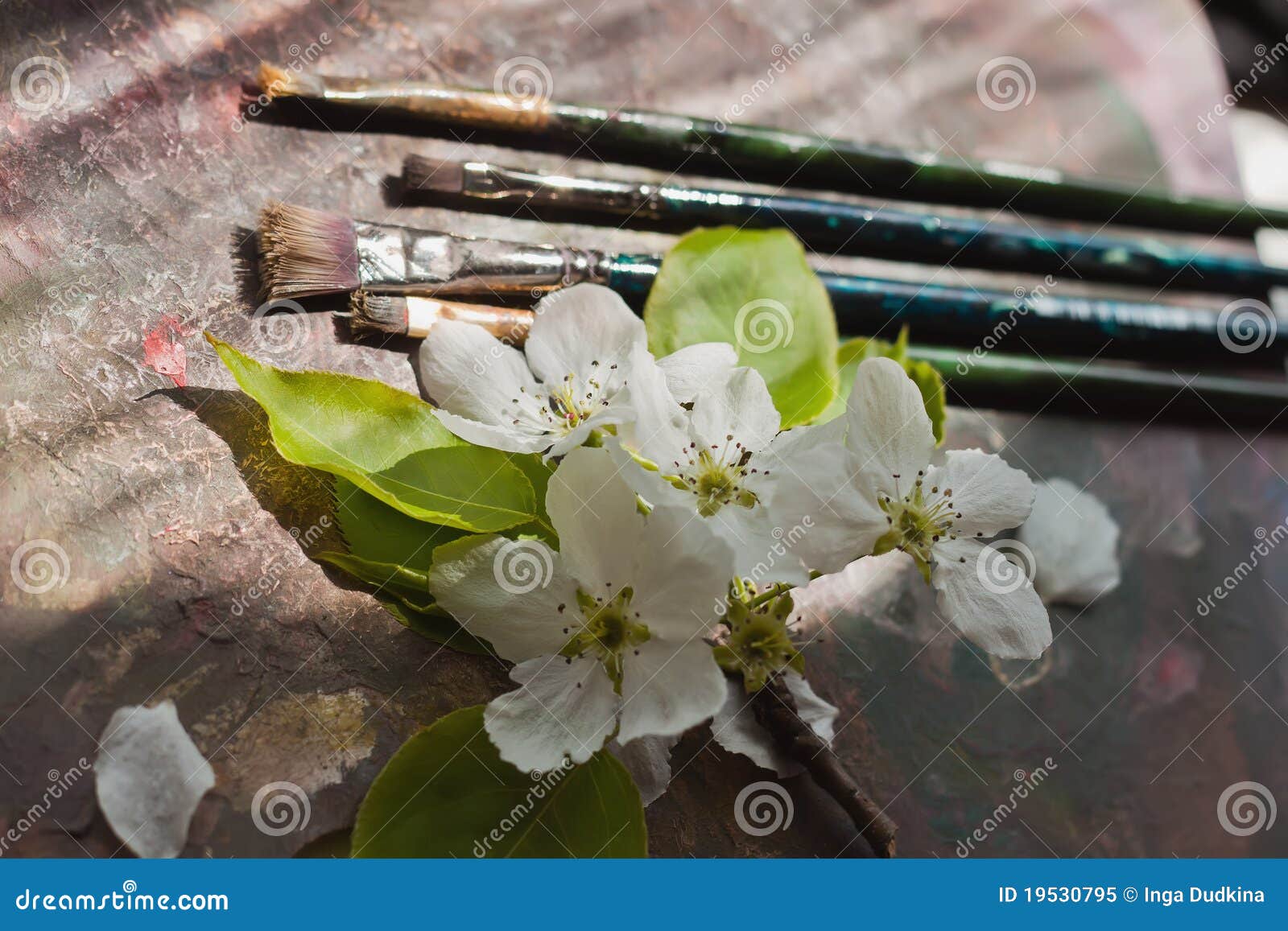 Art Paint Brushes, Palette, Flower Stock Image - Image of brushes ...