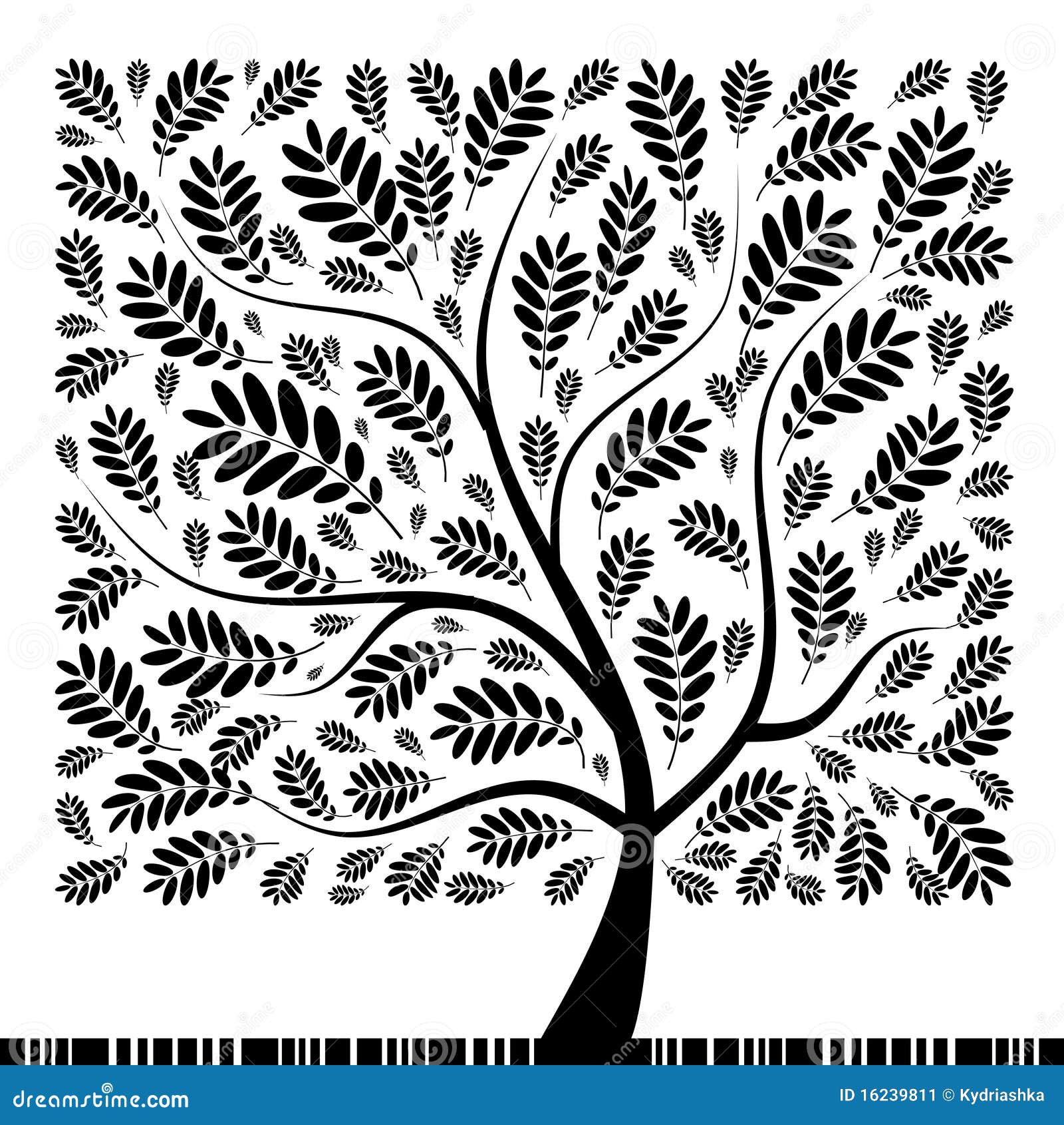 Red Rowan Tree. Isolated Twig Of Rowanberry Or Ashberry. Leaves And ...