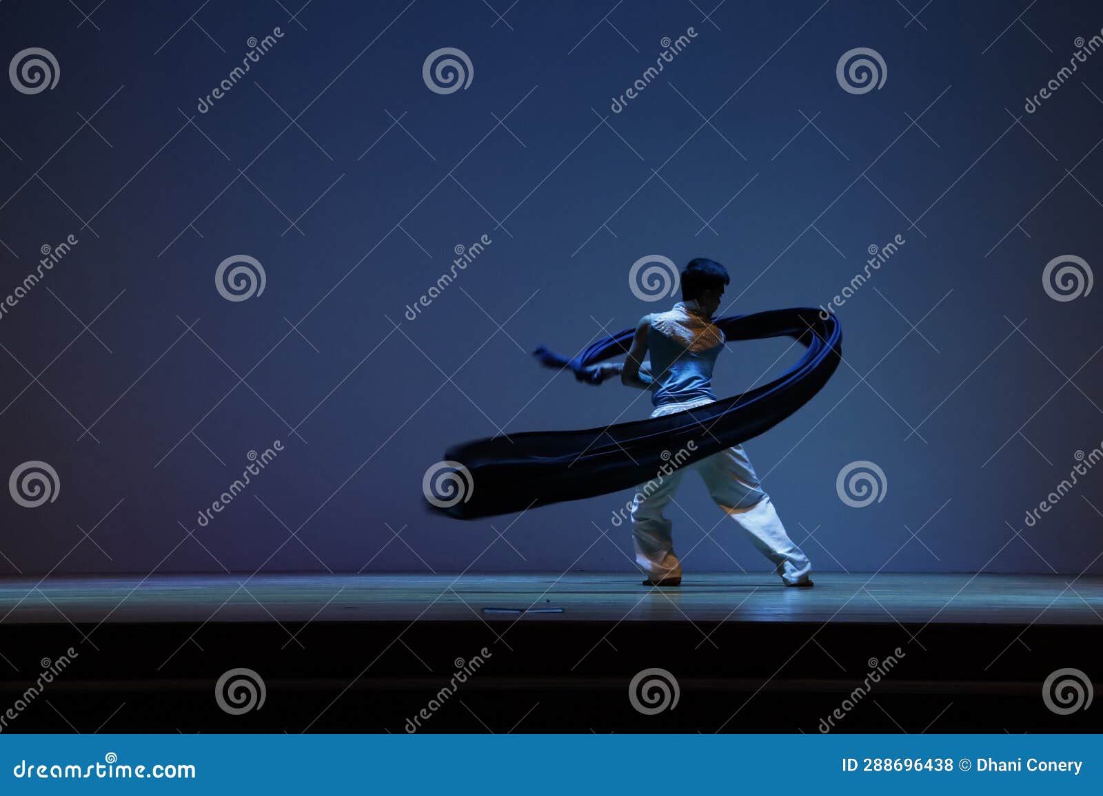 The Art and Soul of Dance stock photo. Image of traditional - 288696438