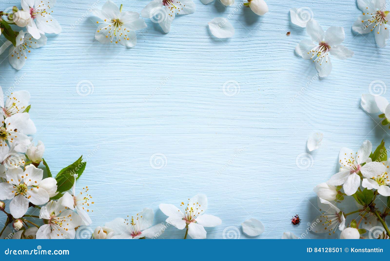 Art Spring Background; Fresh Flower on Blue Background Stock Image ...