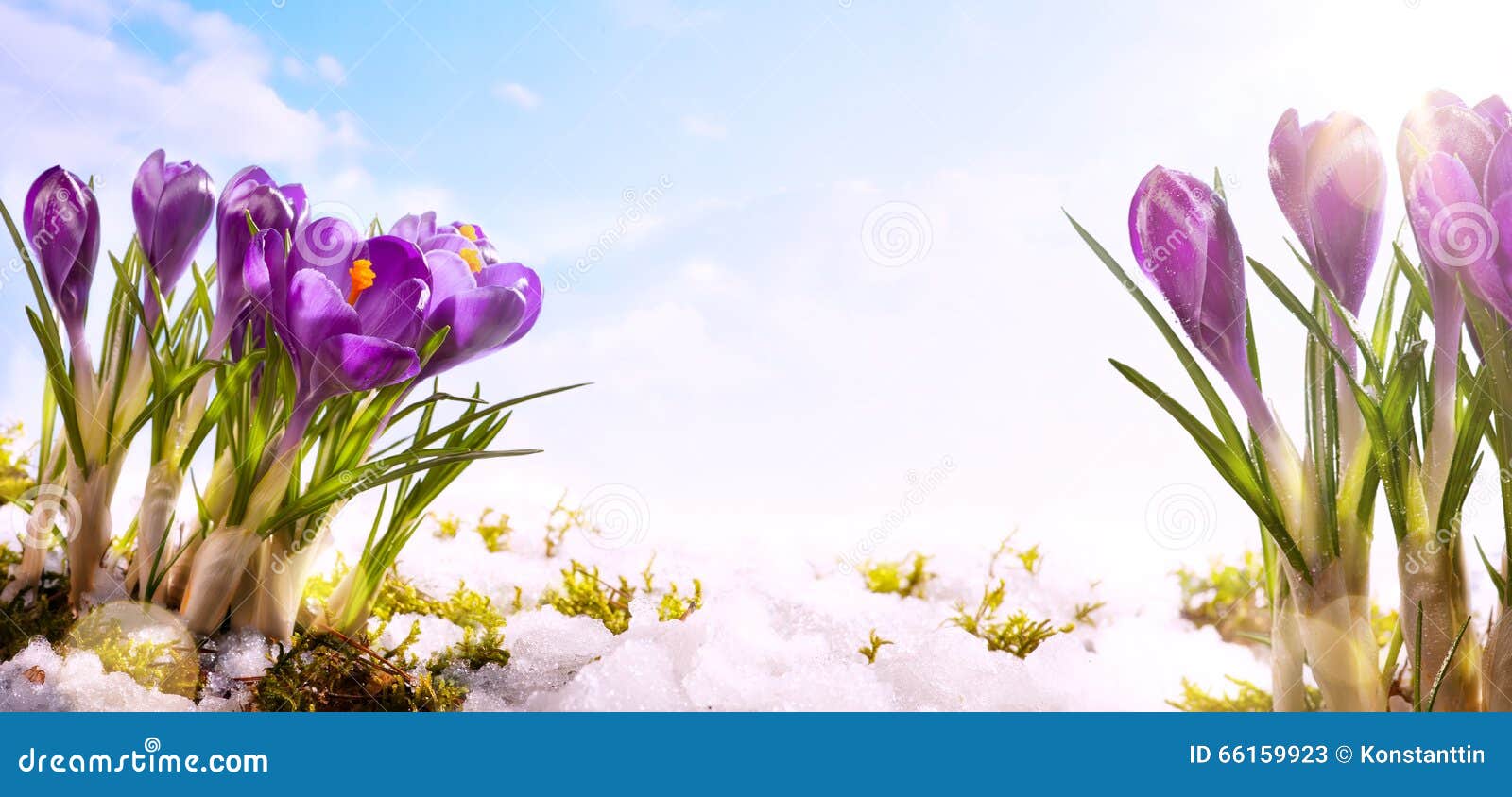 Art Spring Flower Background Stock Image - Image of melt, background ...