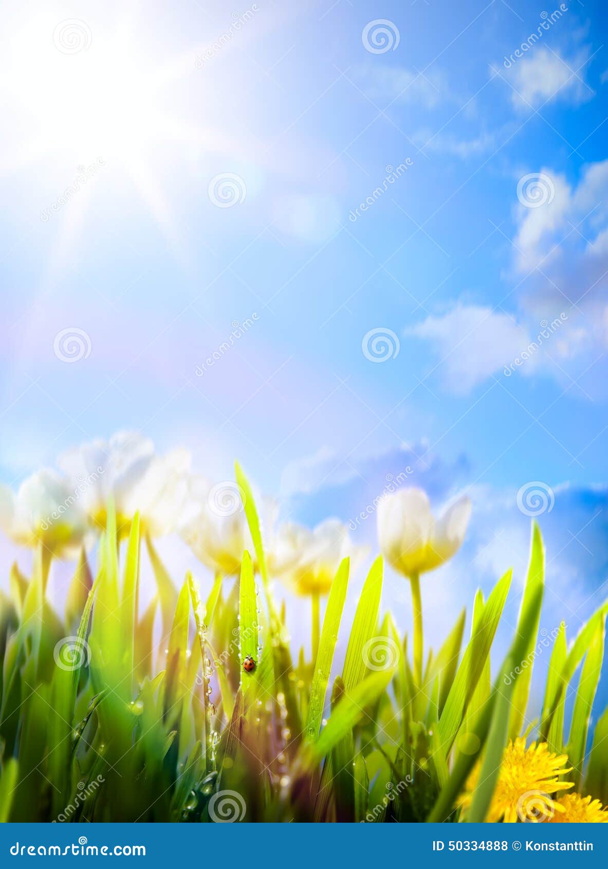 Art Spring Flowers Background Stock Photo - Image of easter, nature ...