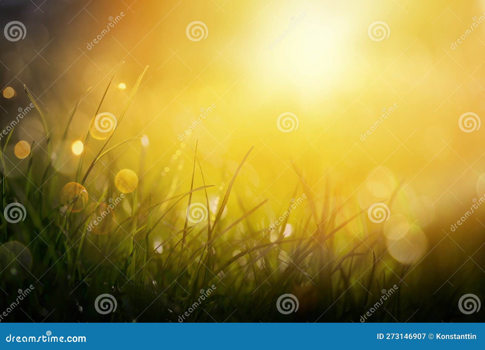 Art Spring Green Grass Background with Sunset Views Stock Image - Image ...