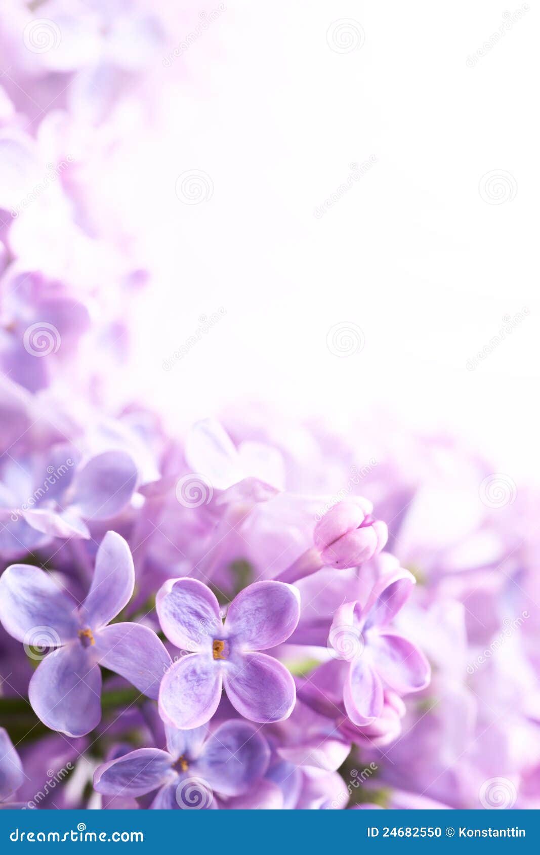 Art Spring Lilac Abstract Background Stock Photo - Image of flowers ...