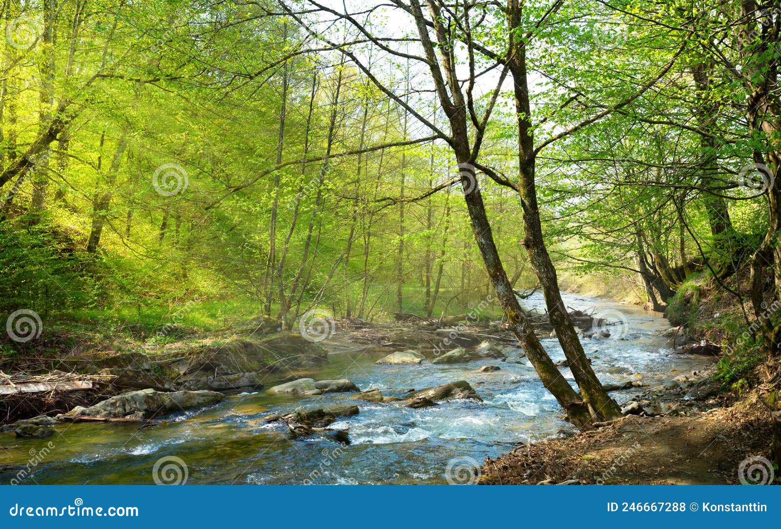 Art Spring Nature Landscape, Mountain Forest and River Rocks Stock ...