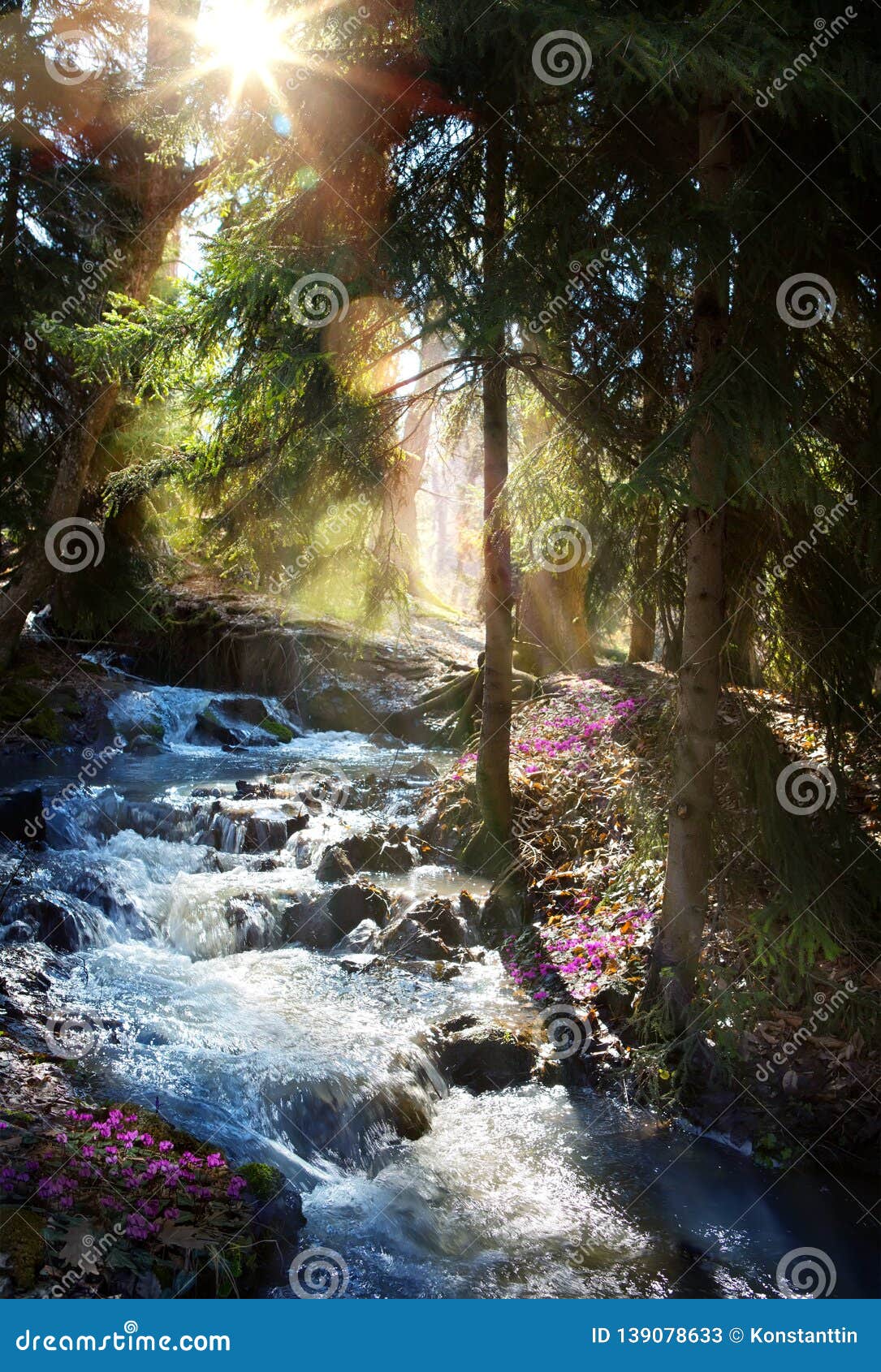 Art Springtime Garden with Spring Water Stream and Spring Flowers Stock ...