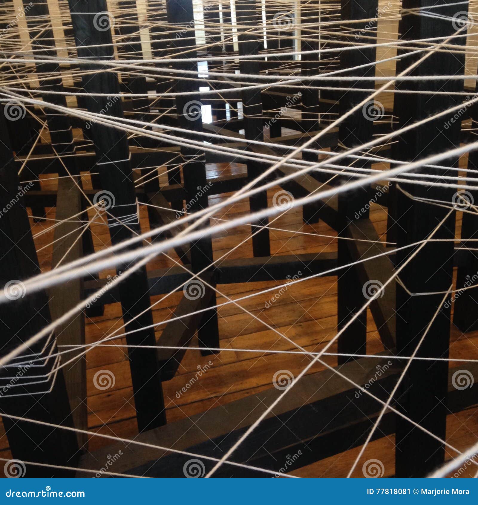 Art strings stock image. Image of technique, wood, strings - 77818081