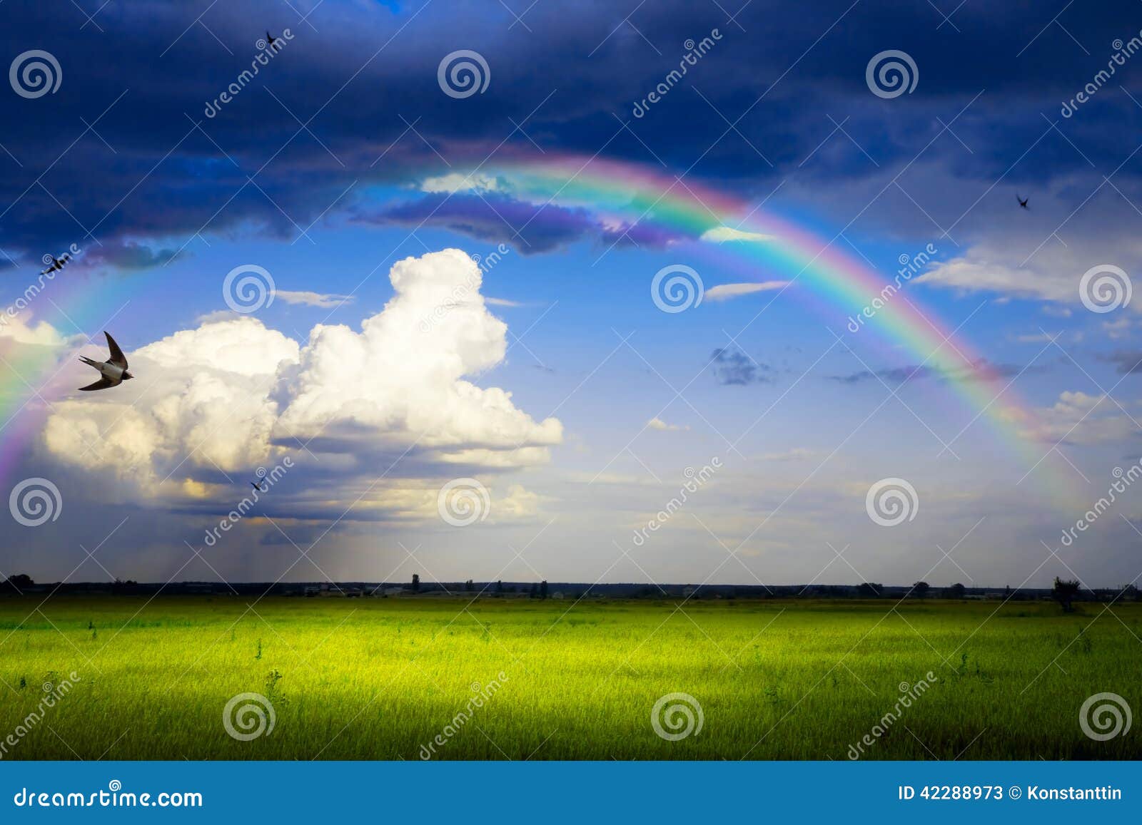 Nature After Rain, Evaporation Of Moisture In The Form Of Fog .spread ...