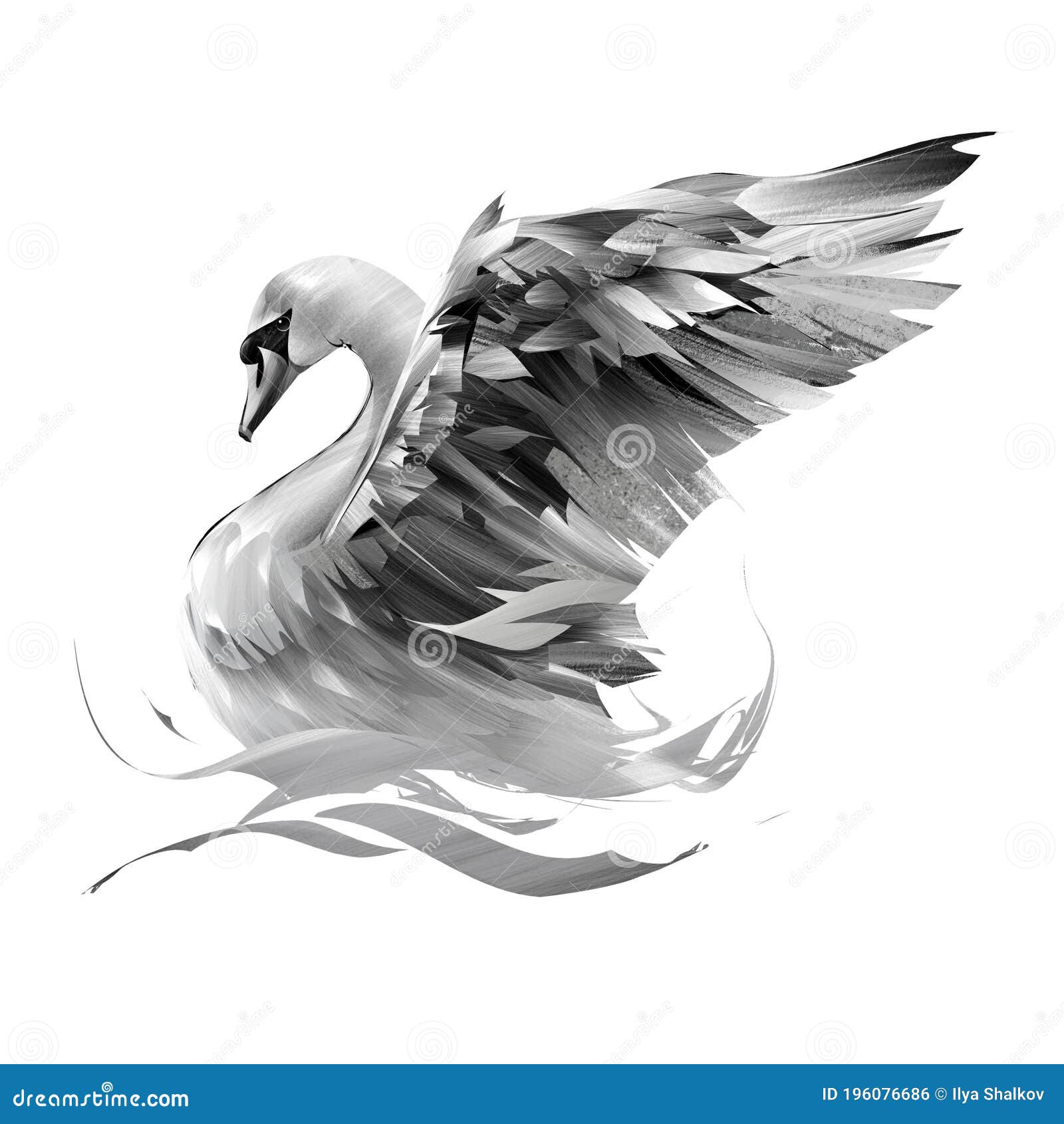 Swan Wings Spread Drawing