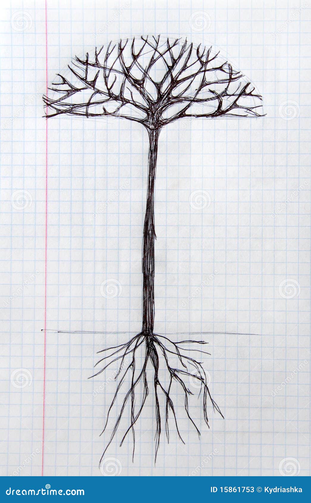 Tree Roots Pencil Drawing