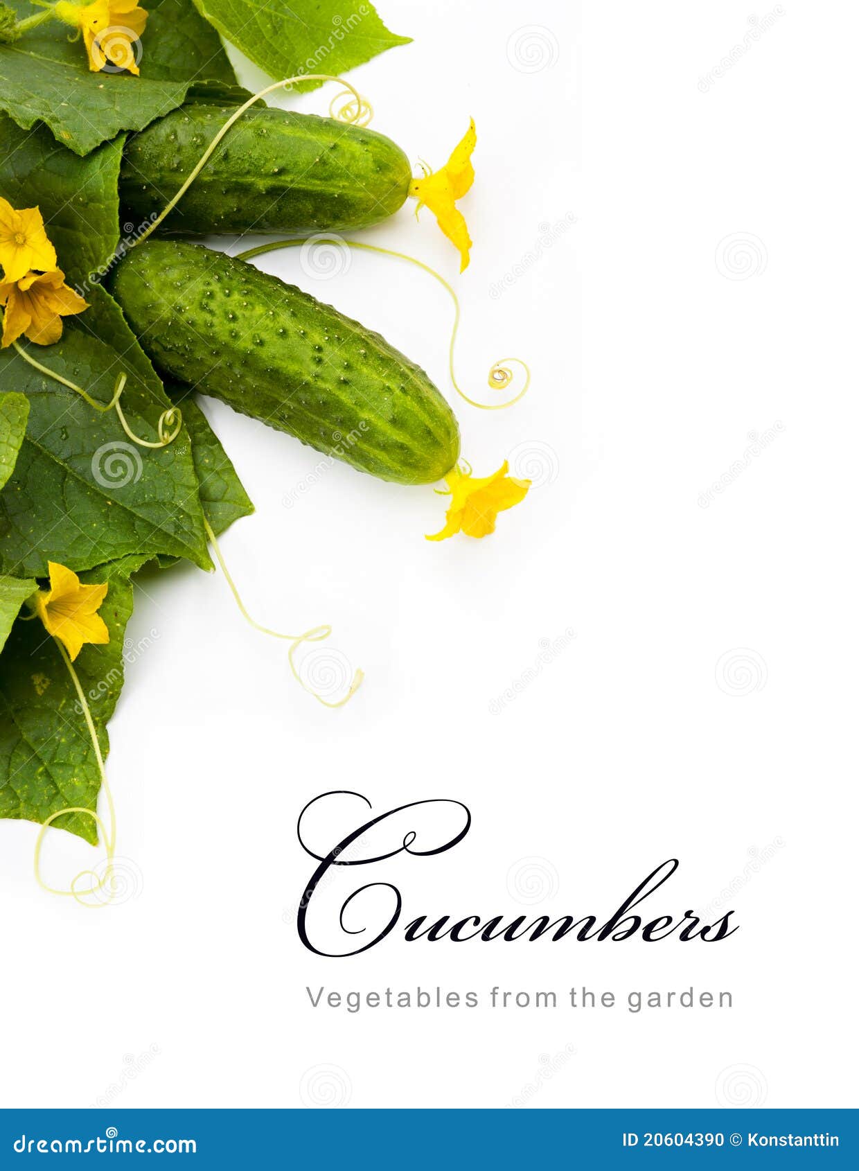 Art Vegetarian Menu Background Stock Photo - Image of closeup, idea ...