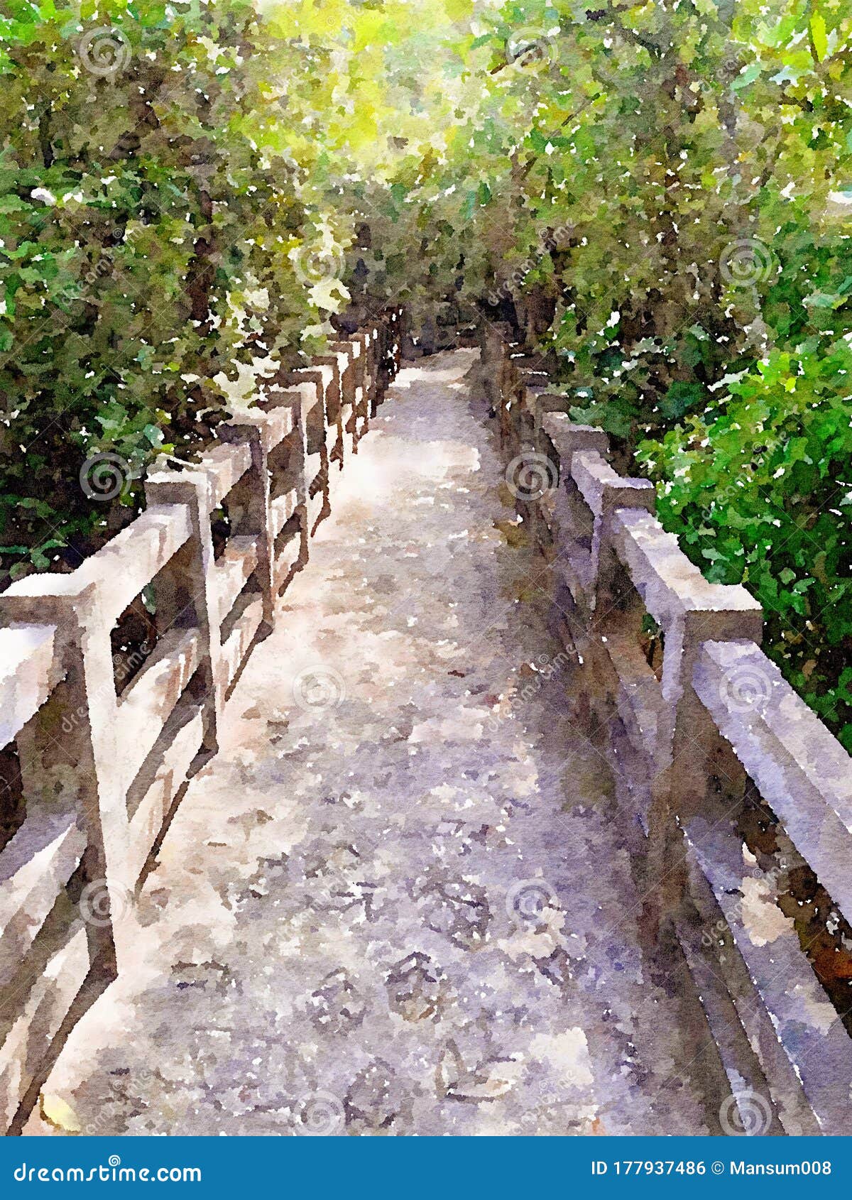 Watercolor Walkway in Forest Stock Illustration - Illustration of ...