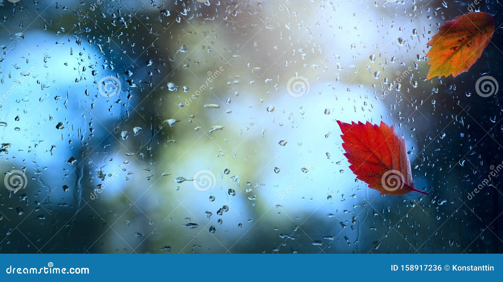 Art Wet Autumn Leaves Background; Autumn Window with Water Drops and ...