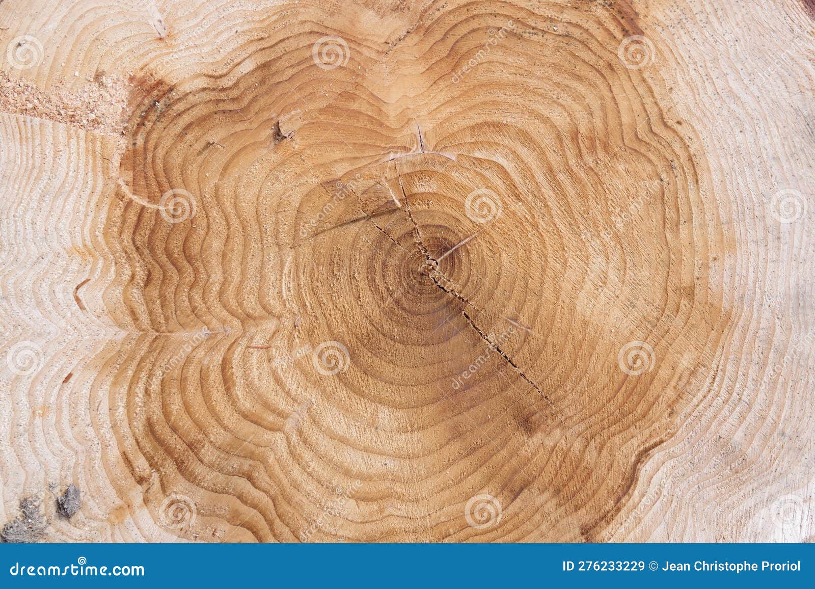 Art and wood stock image. Image of wall, carving, hardwood - 276233229