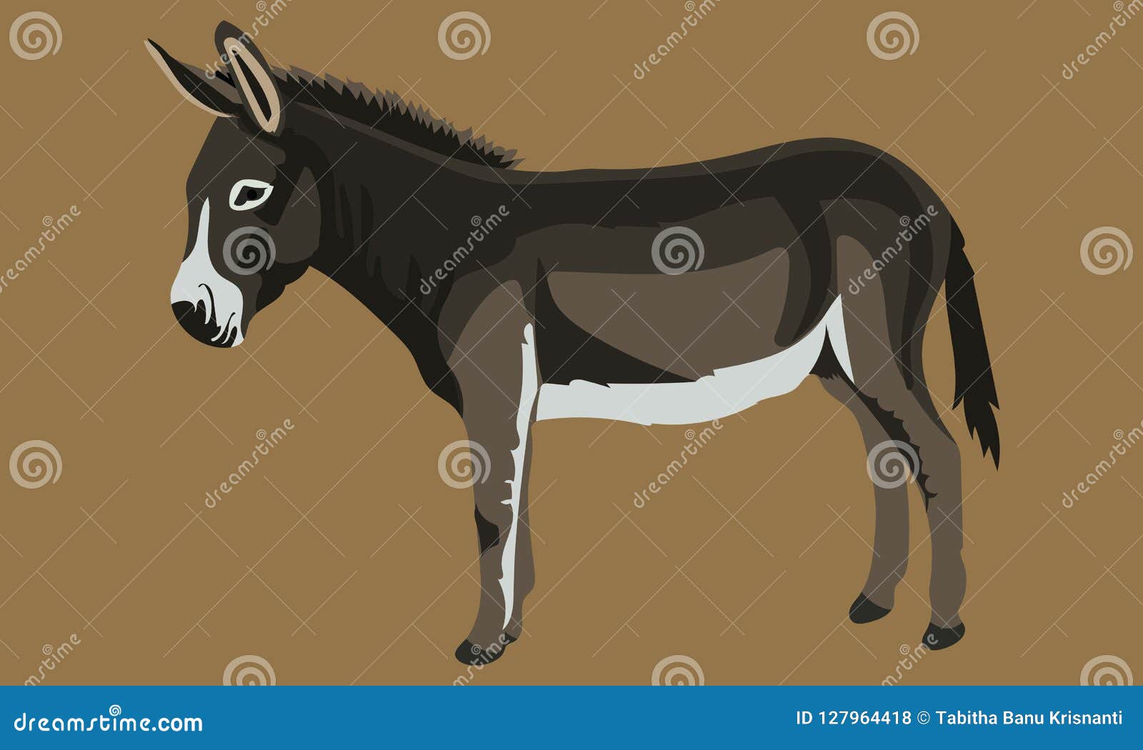 Arte Bonito Preta E Cinzenta Do Vetor Do Asno Ilustração do Vetor ...