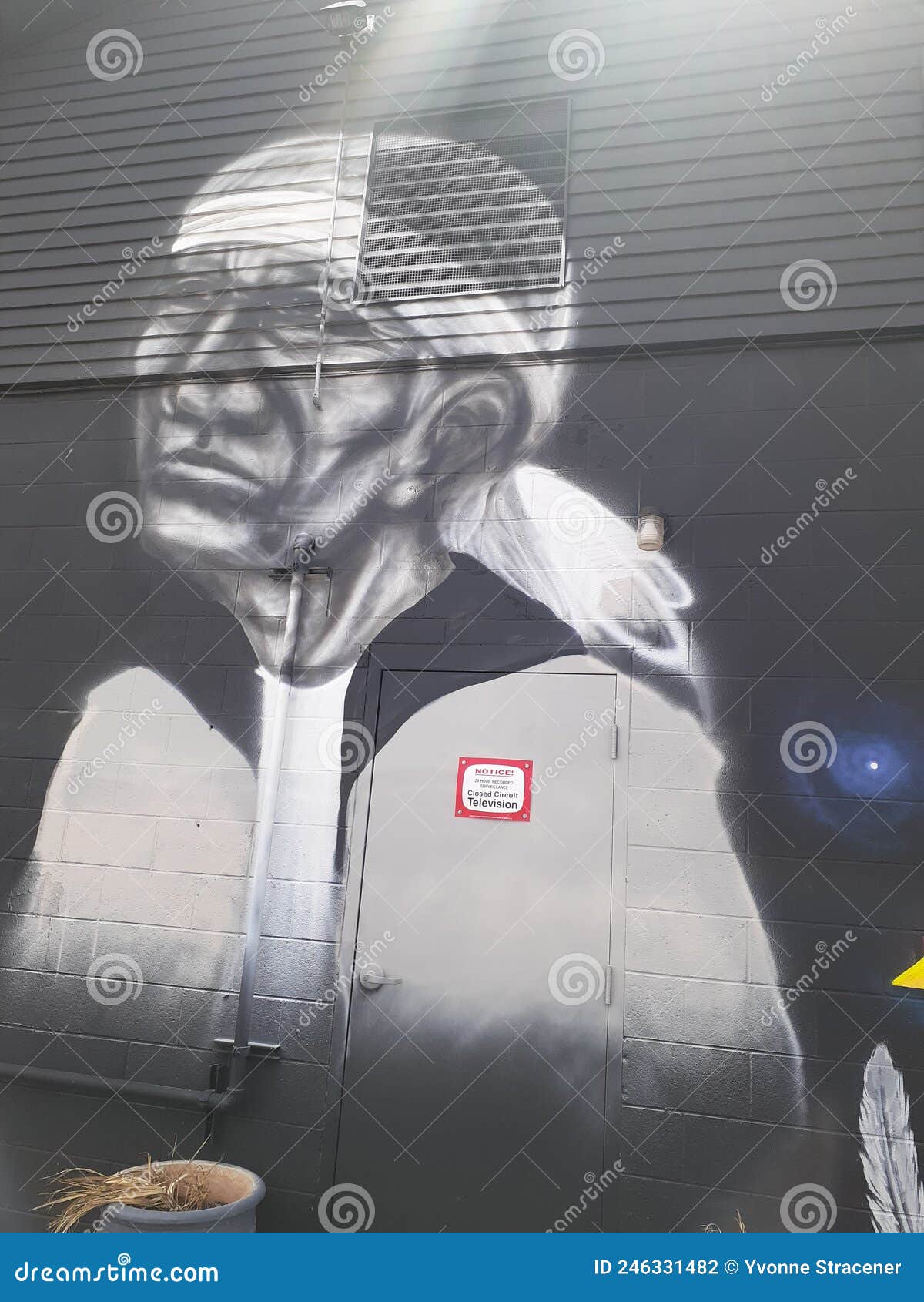 Arte Mural Indio En Cheyenne Wyoming Fotografía editorial - Imagen de ...