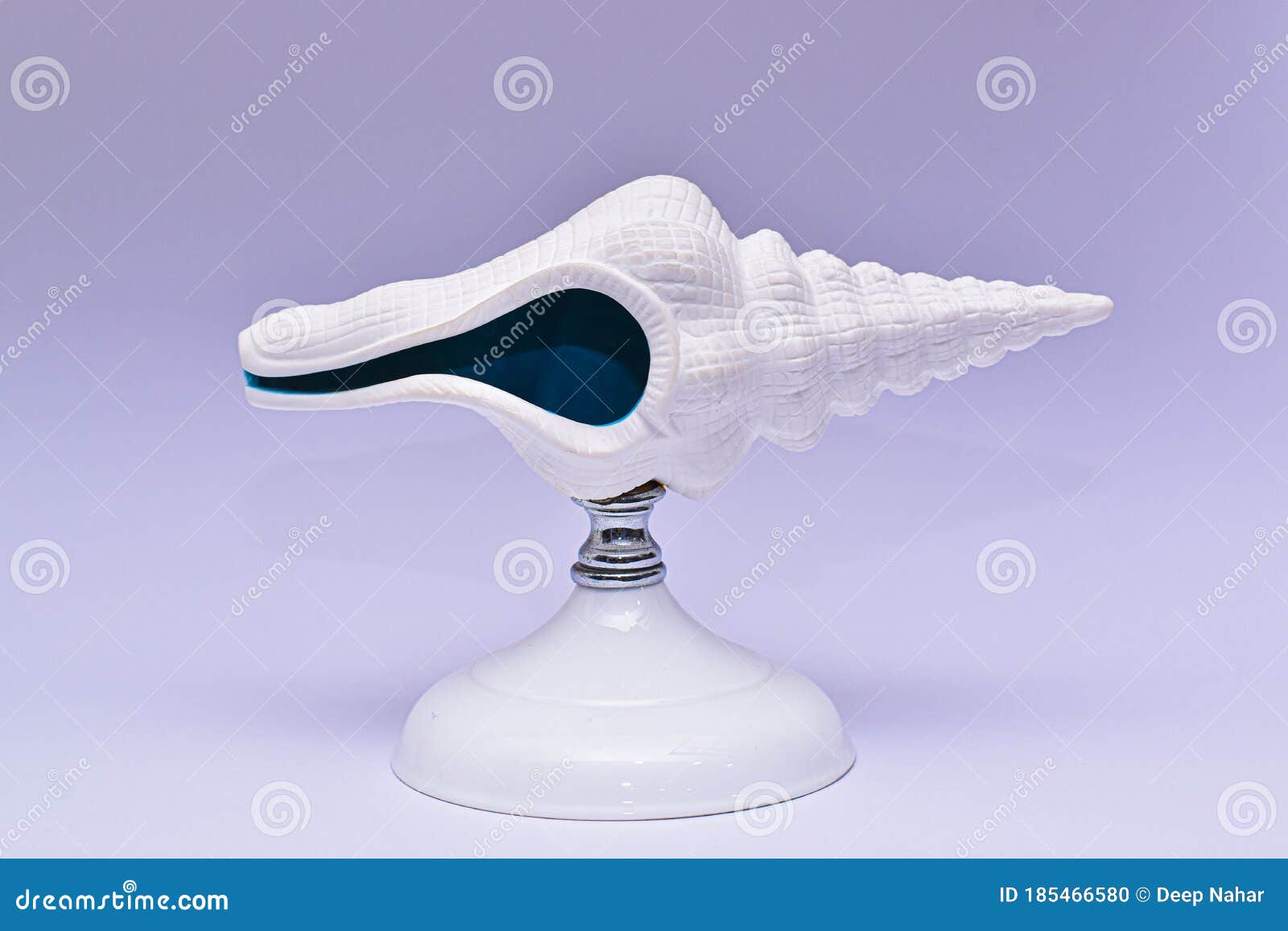 Artefact of Indian White Conch Shell Stock Photo - Image of ...