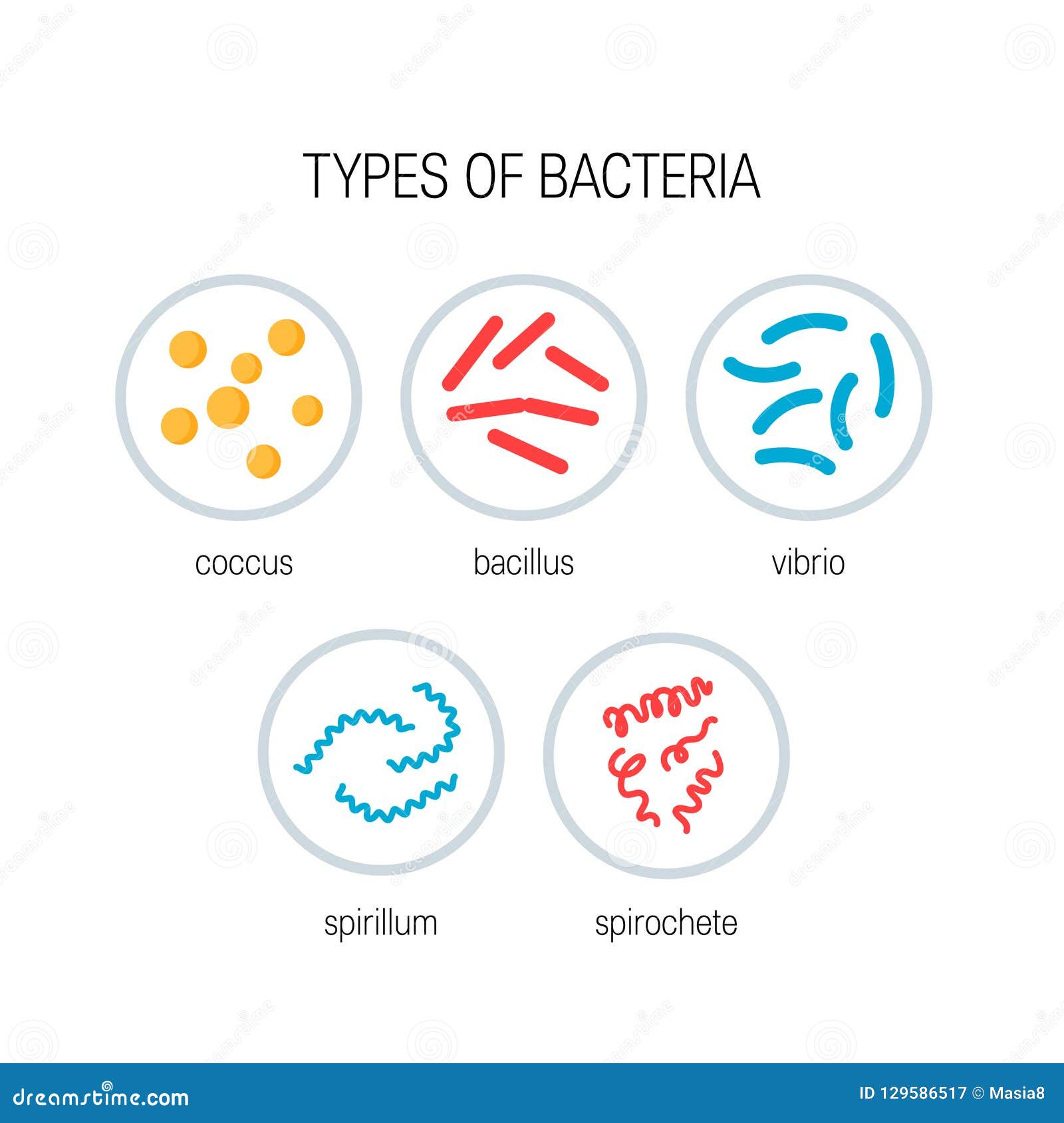 Arten Des Bakterienvektorkonzeptes Vektor Abbildung - Illustration von ...