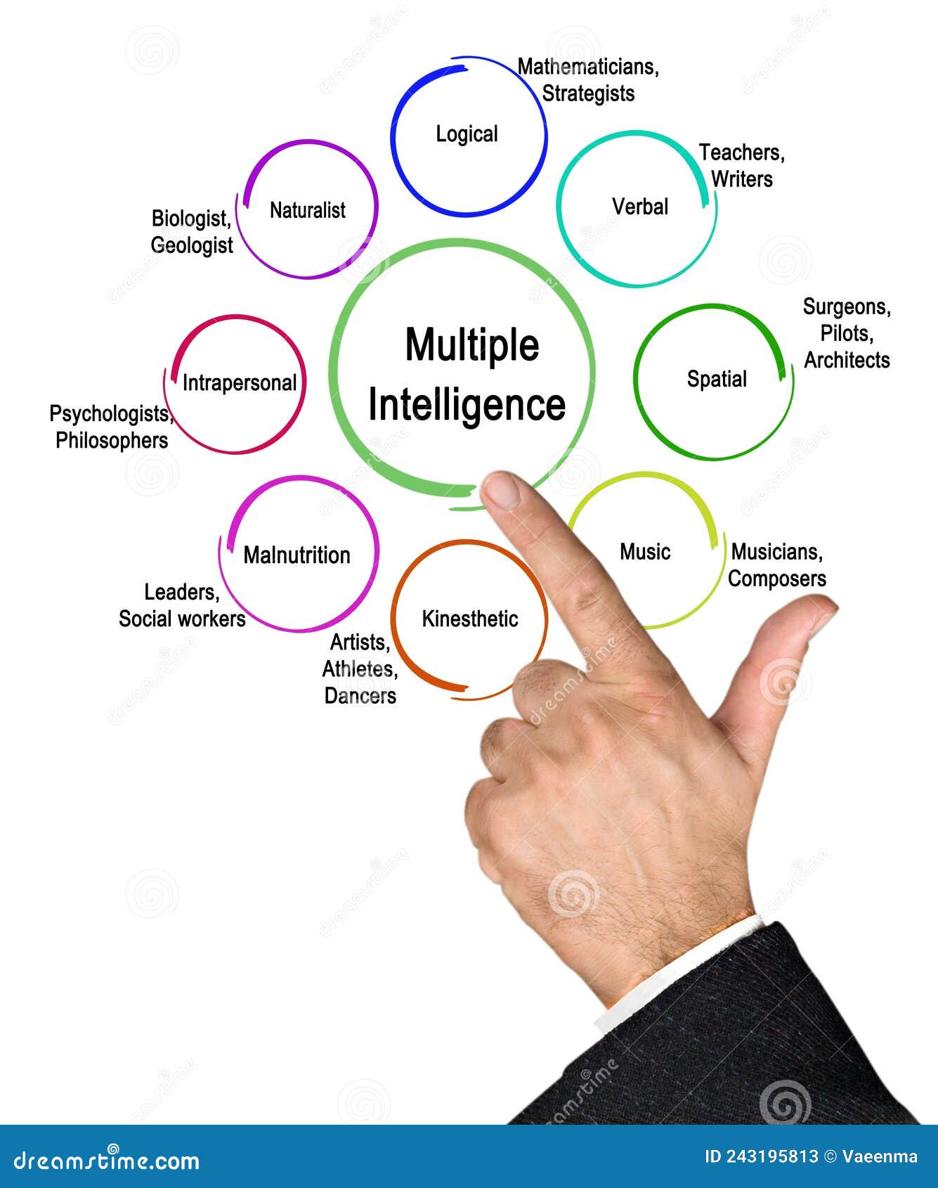 Arten Von Multiplen Intelligenz Stockbild - Bild von architekten ...