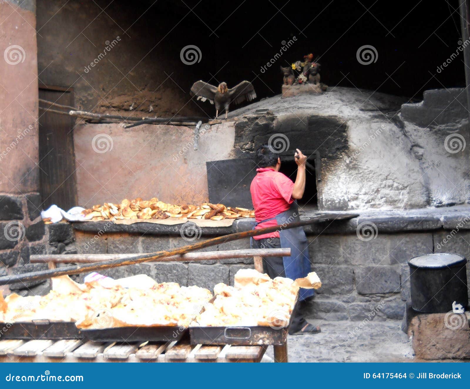 Artesian Baker in Andes editorial stock image. Image of tropical - 64175464