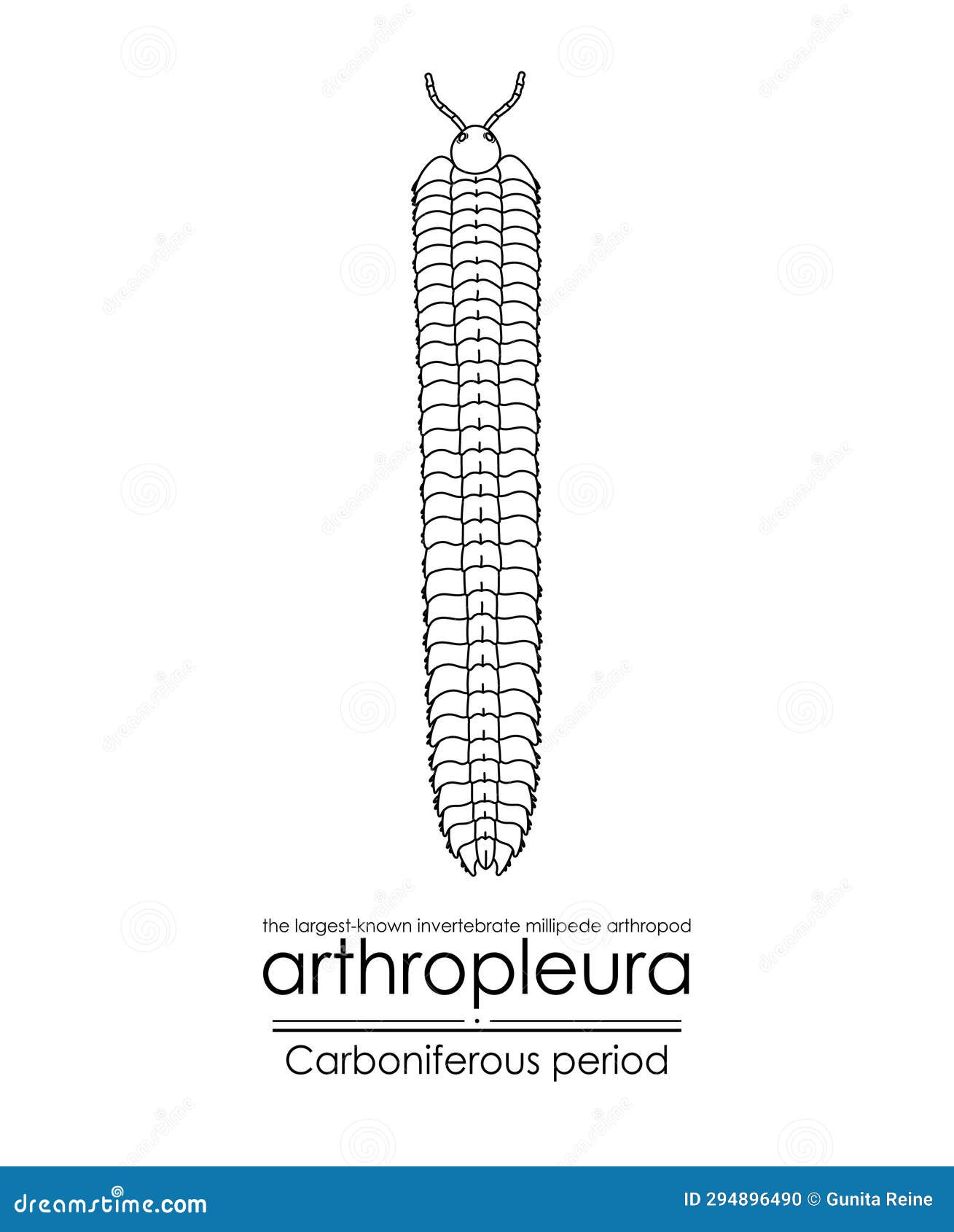 Arthropleura On White Royalty-Free Stock Photography | CartoonDealer ...