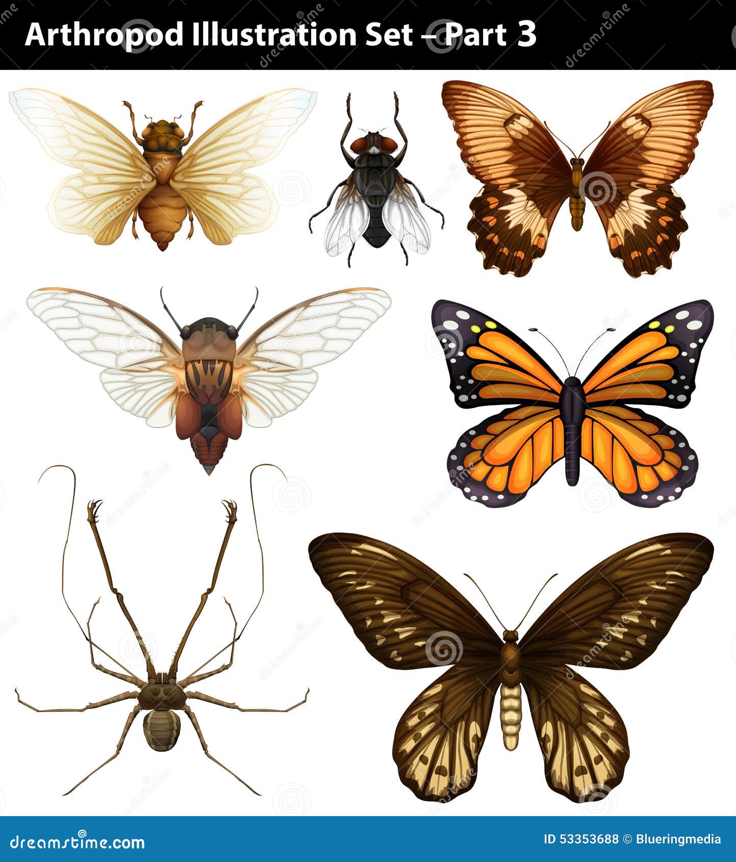 Arthropods stock vector. Illustration of creature, drawing - 53353688