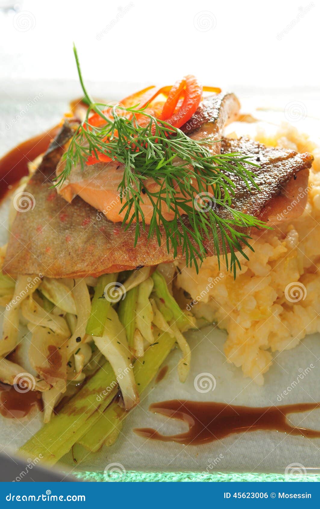 Artic char salmon stock photo. Image of leek, rice, macro - 45623006