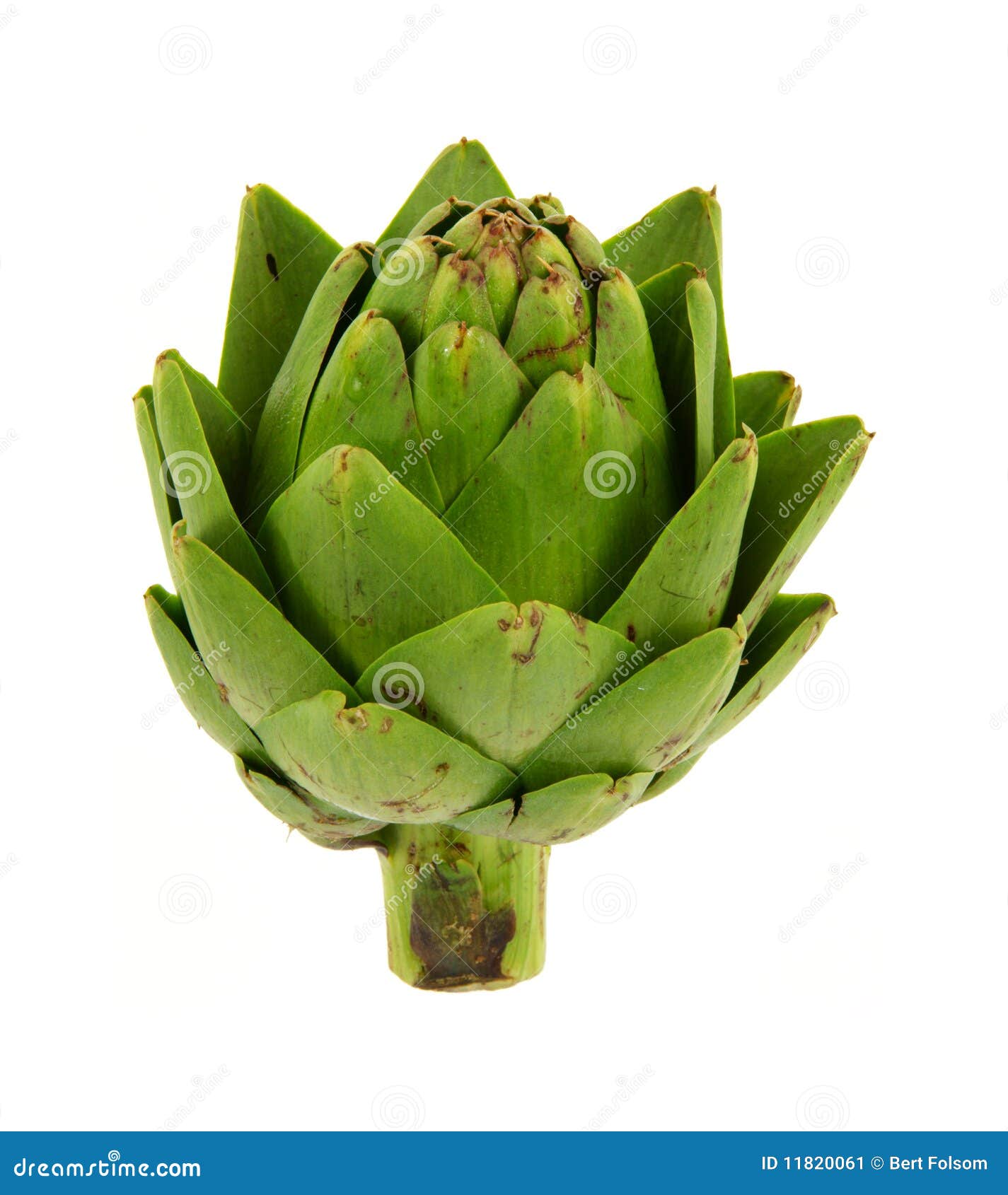 390 Triangular Stem Stock Photos - Free & Royalty-Free Stock Photos ...