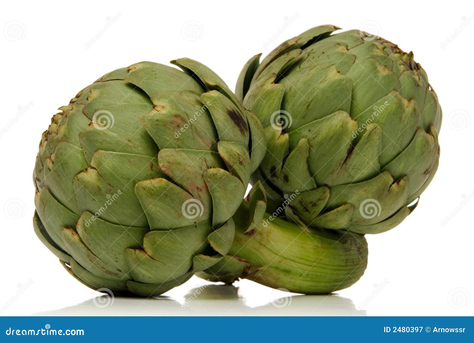 Artichoke stock image. Image of isolated, nutrition, market - 2480397