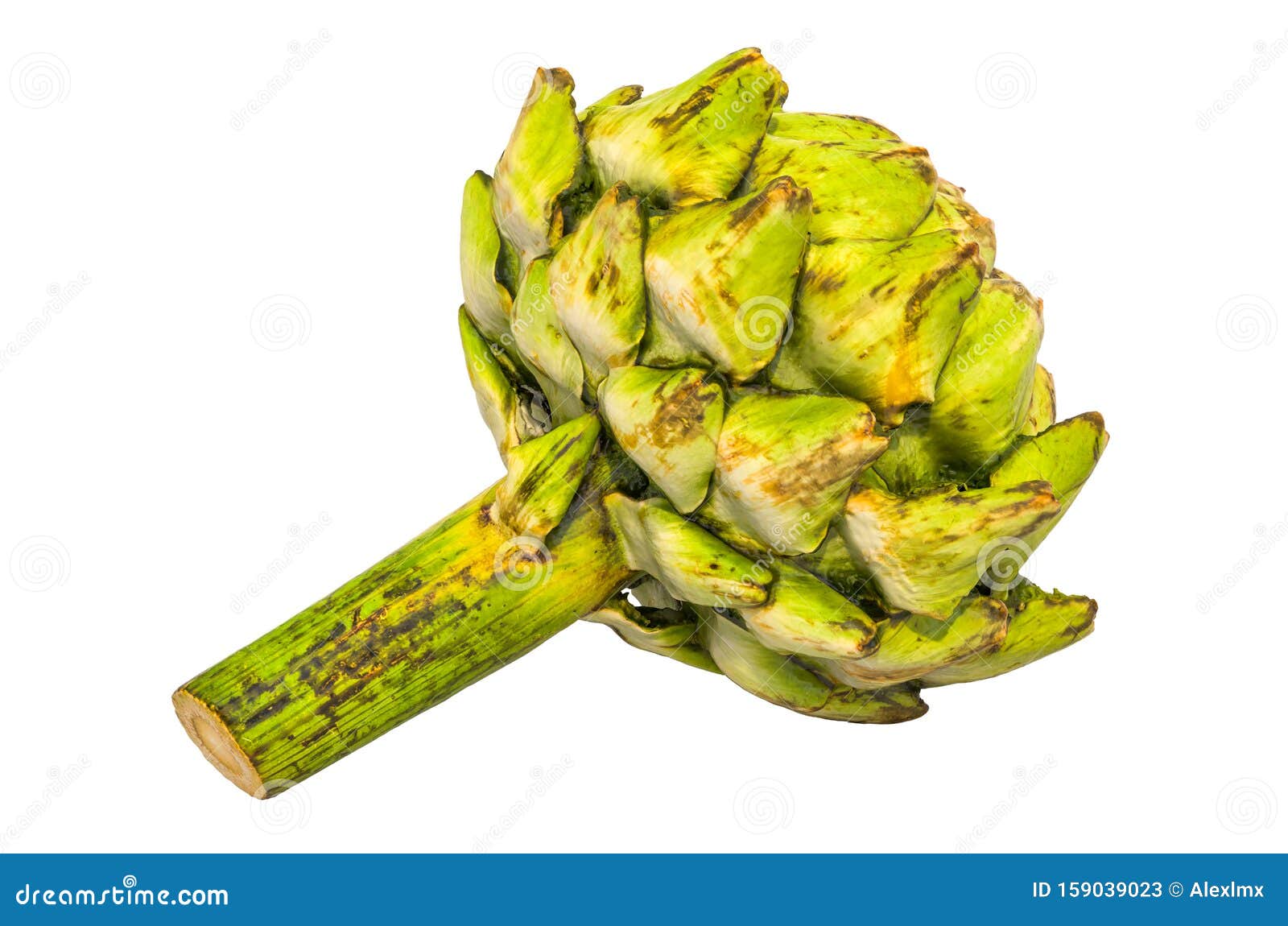 Artichoke Close-up 3d Rendering with Realistic Texture Stock ... Artichoke Close-up 3d Rendering with Realistic Texture Stock ...