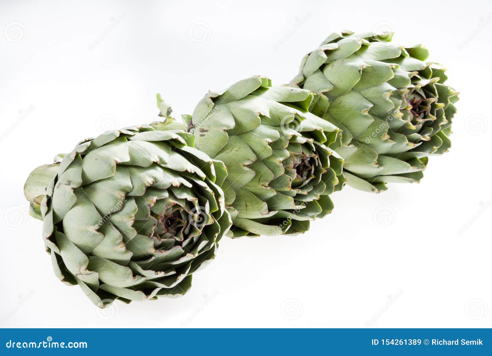 Artichokes stock image. Image of vegetables, inside - 154261389