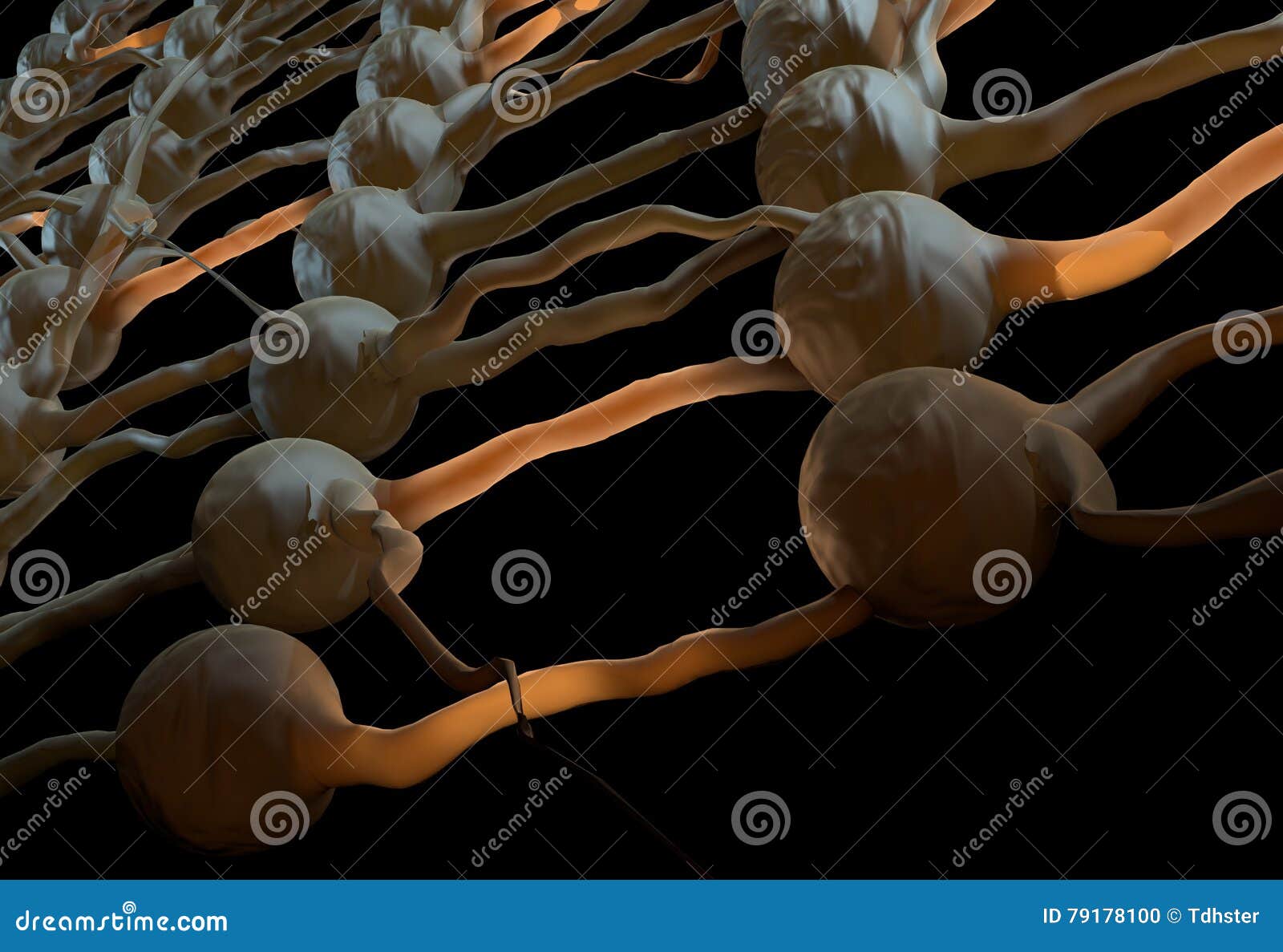 Artifical Neural Net. Neuron Network with Connection Links. 3d ...