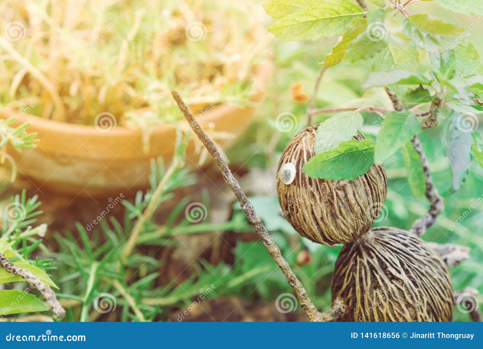 An Artificial Ant Statue Made from Coconut, Stock Photo - Image of ...