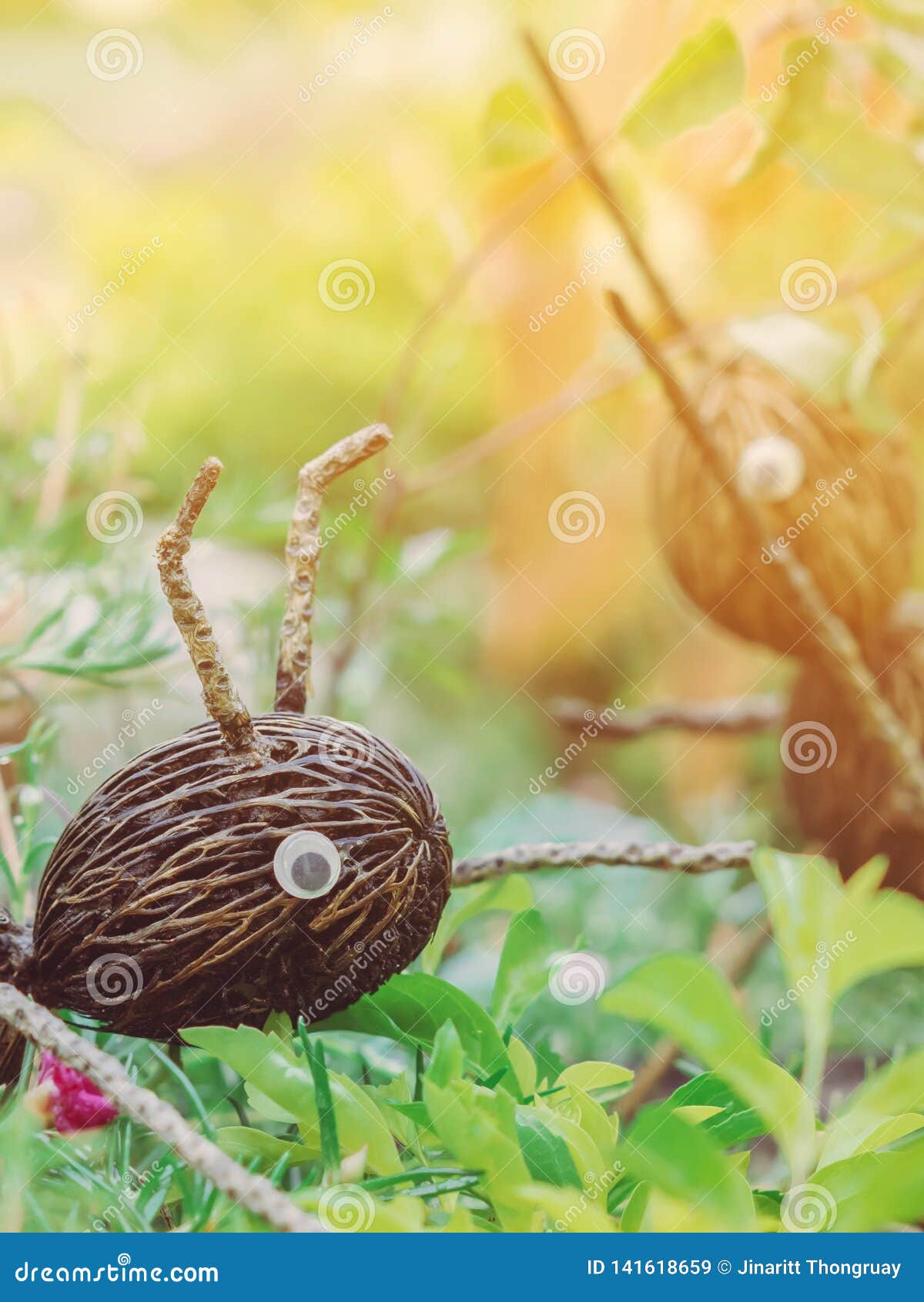 An Artificial Ant Statue Made from Coconut, Stock Image - Image of ...
