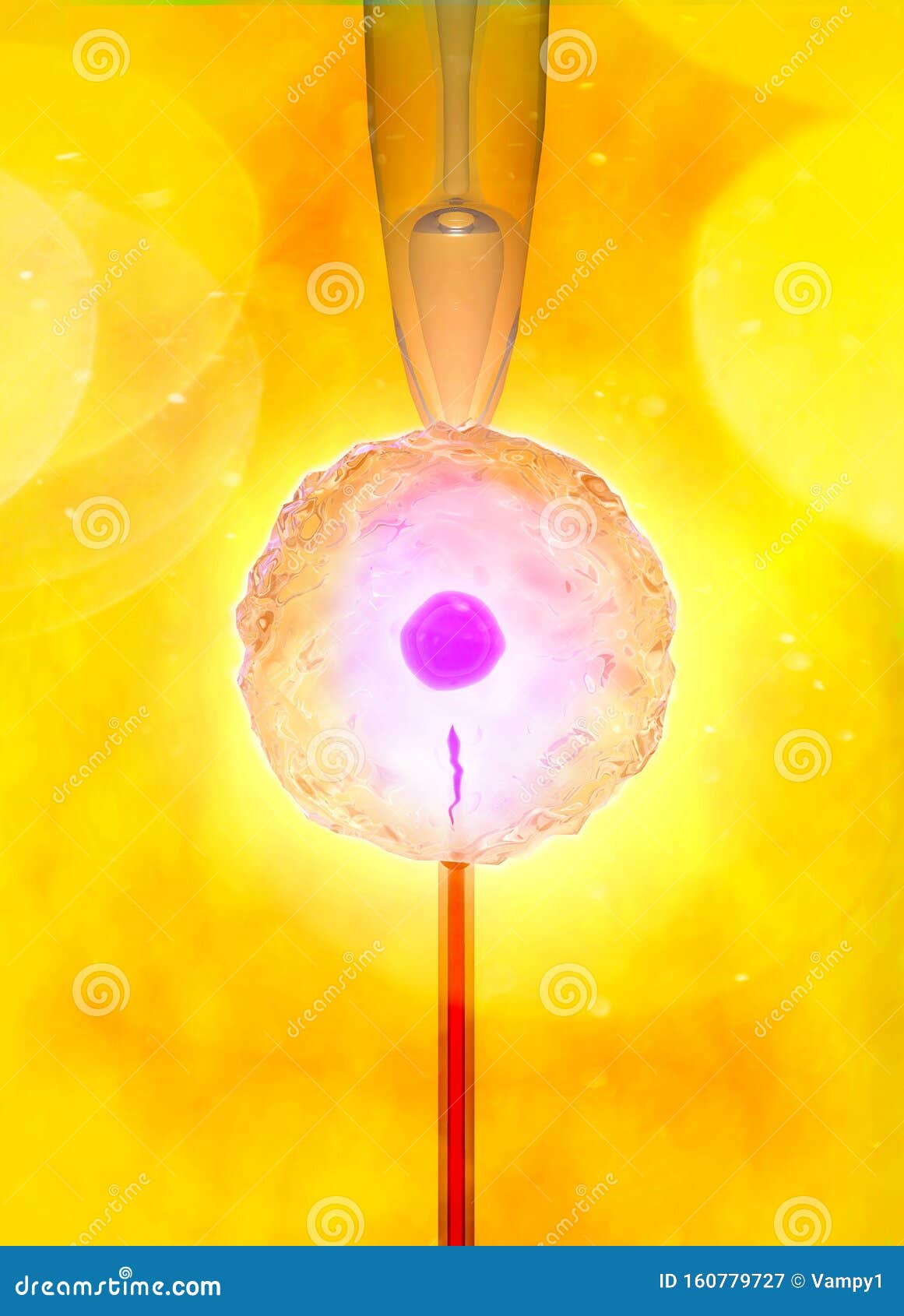 Artificial or Assisted Fertilization is the Process by Which the Union ...