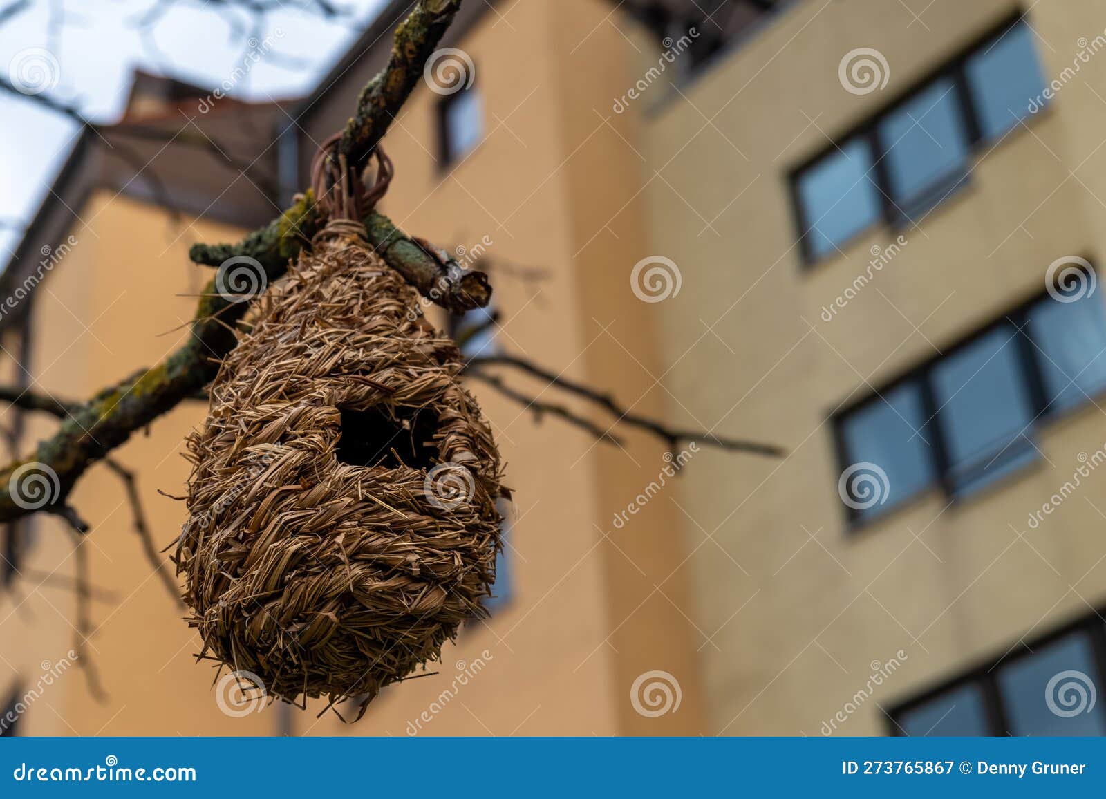 An Artificial Bird Nest on a Tree Stock Image - Image of front, house ...
