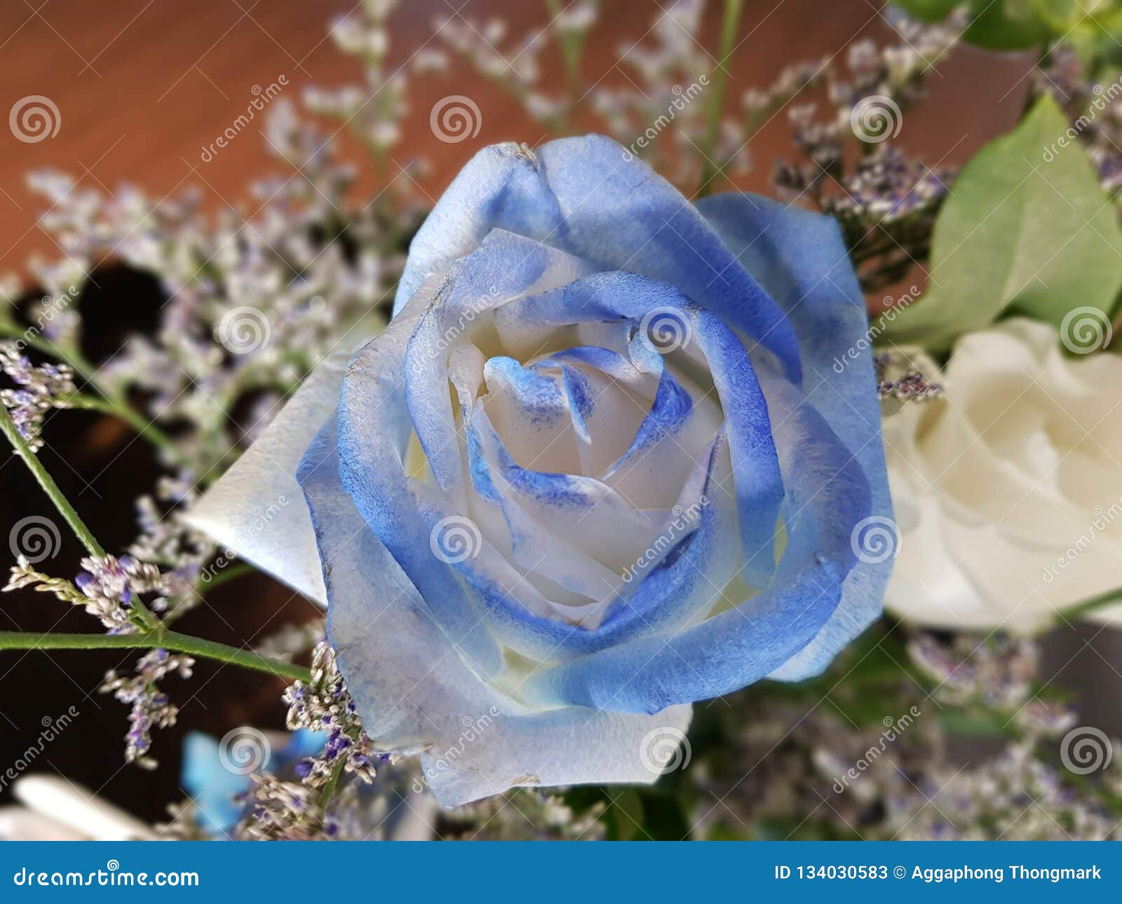 Artificial Blue White Rose Flowers Stock Image - Image of artificial ...