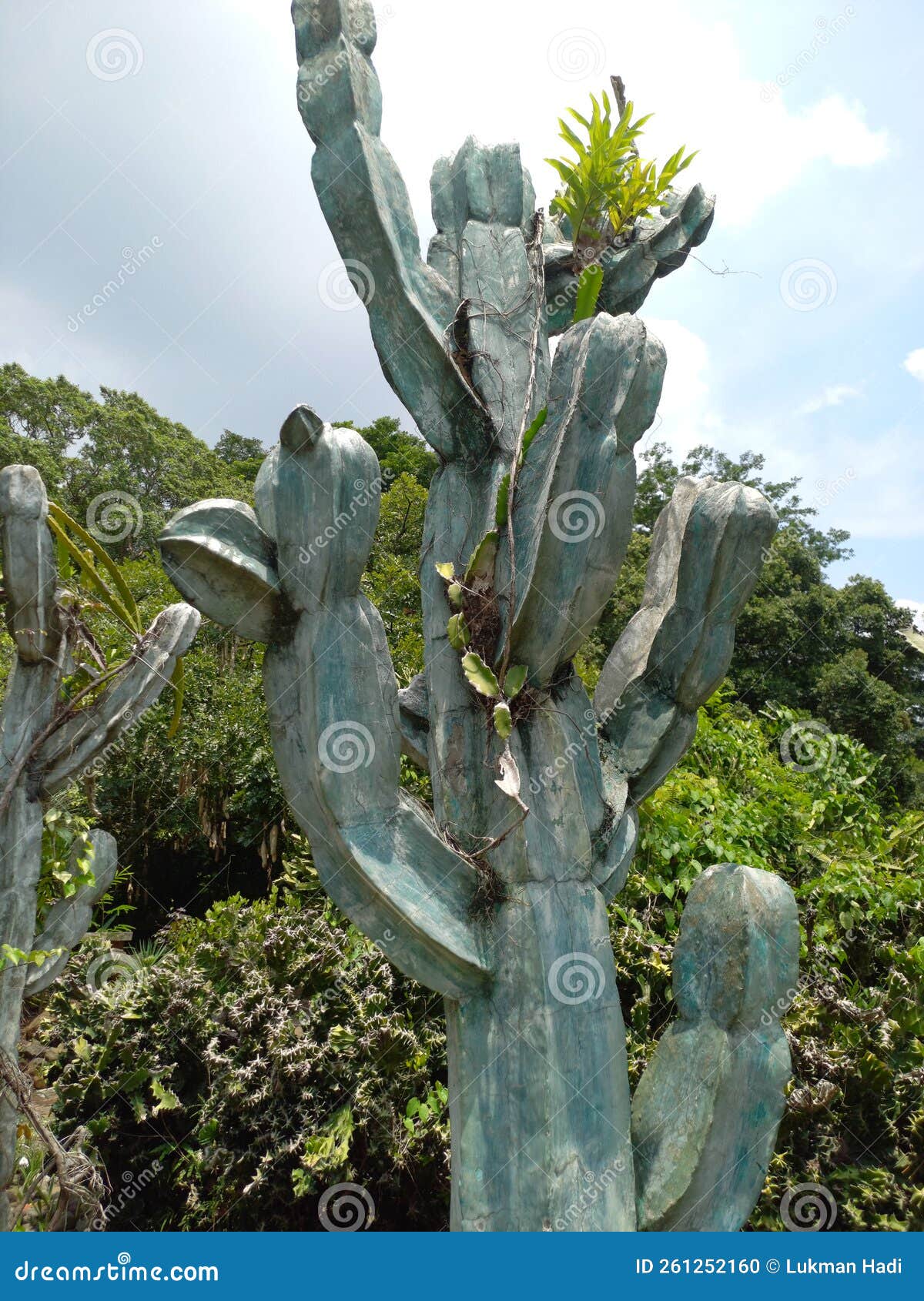 Artificial Captus Made of Stone in the Garden Stock Photo - Image of ...