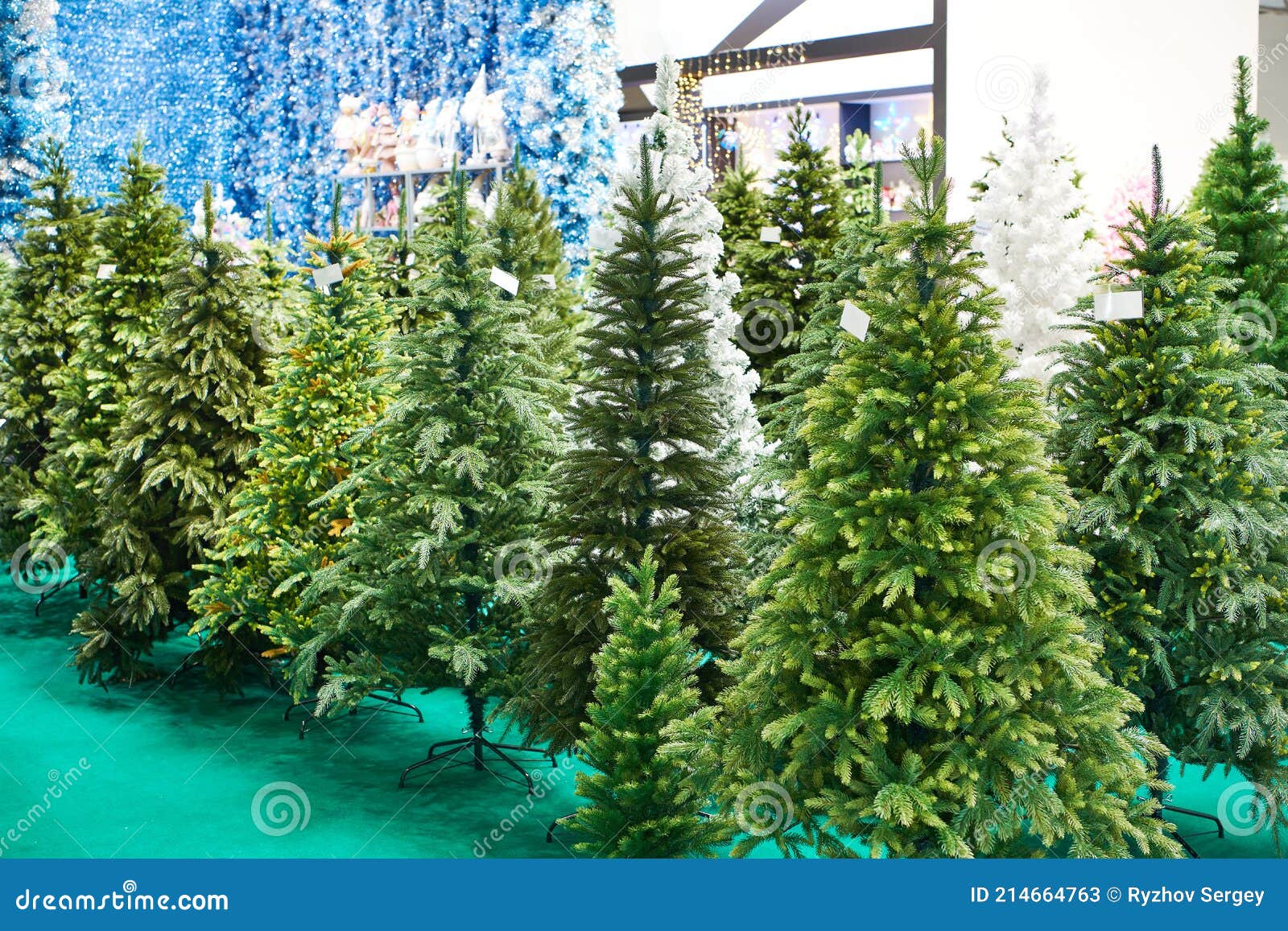Artificial Christmas Trees Spruce in Store Stock Image - Image of shop ...