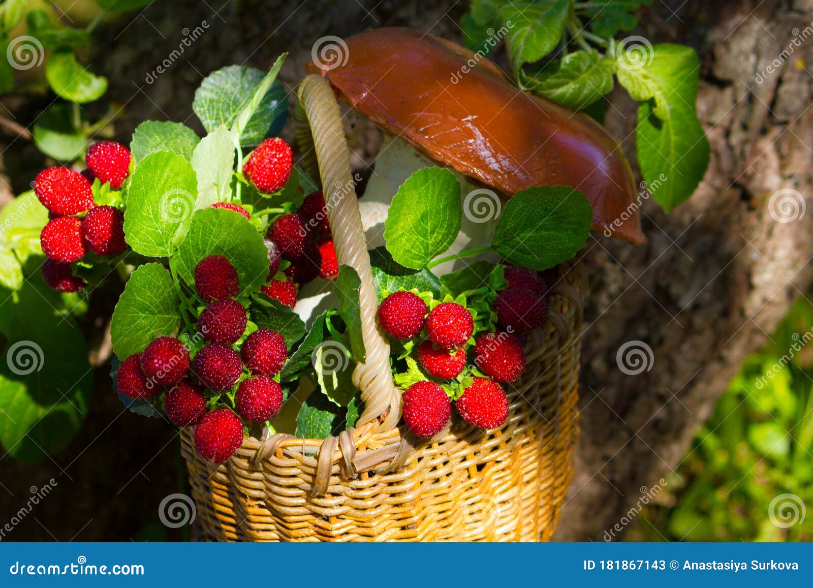 Artificial Composition in the Garden. Wicker Basket with Raspberries ...