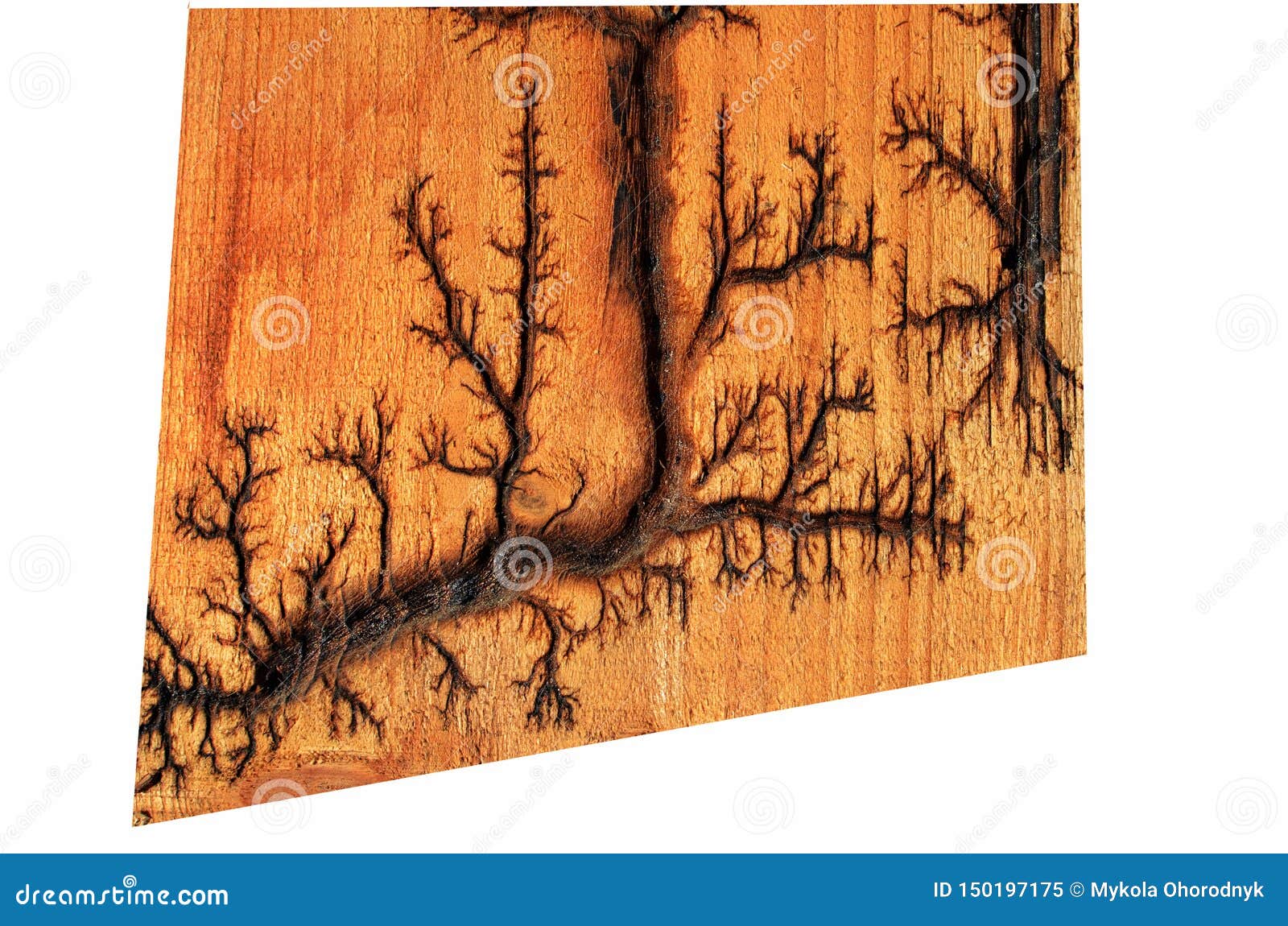 The Artificial Drawing of a Lightning on a Tree Stock Image - Image of ...